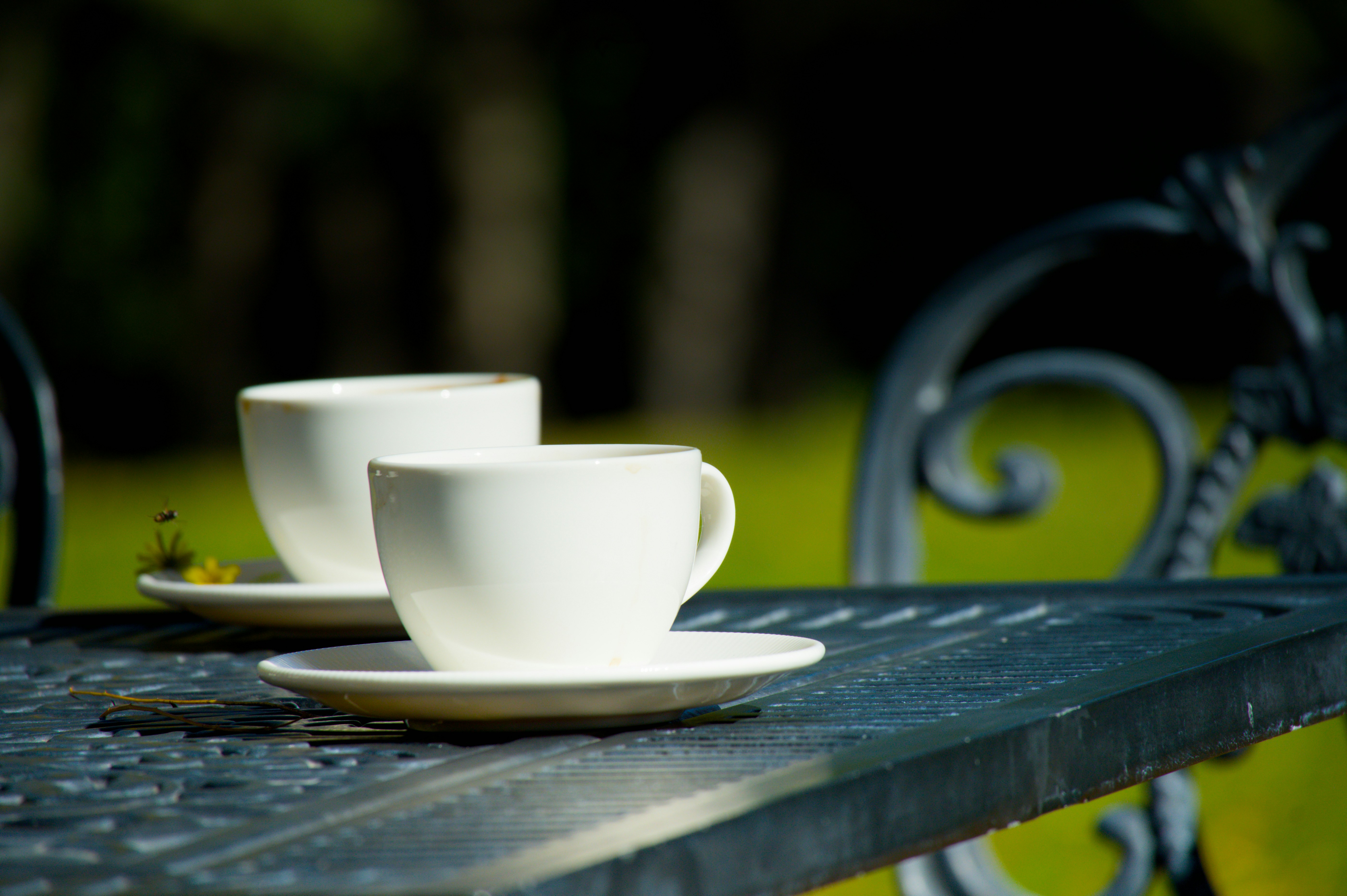 Photo by Amin Zabardast with Nikon Z30