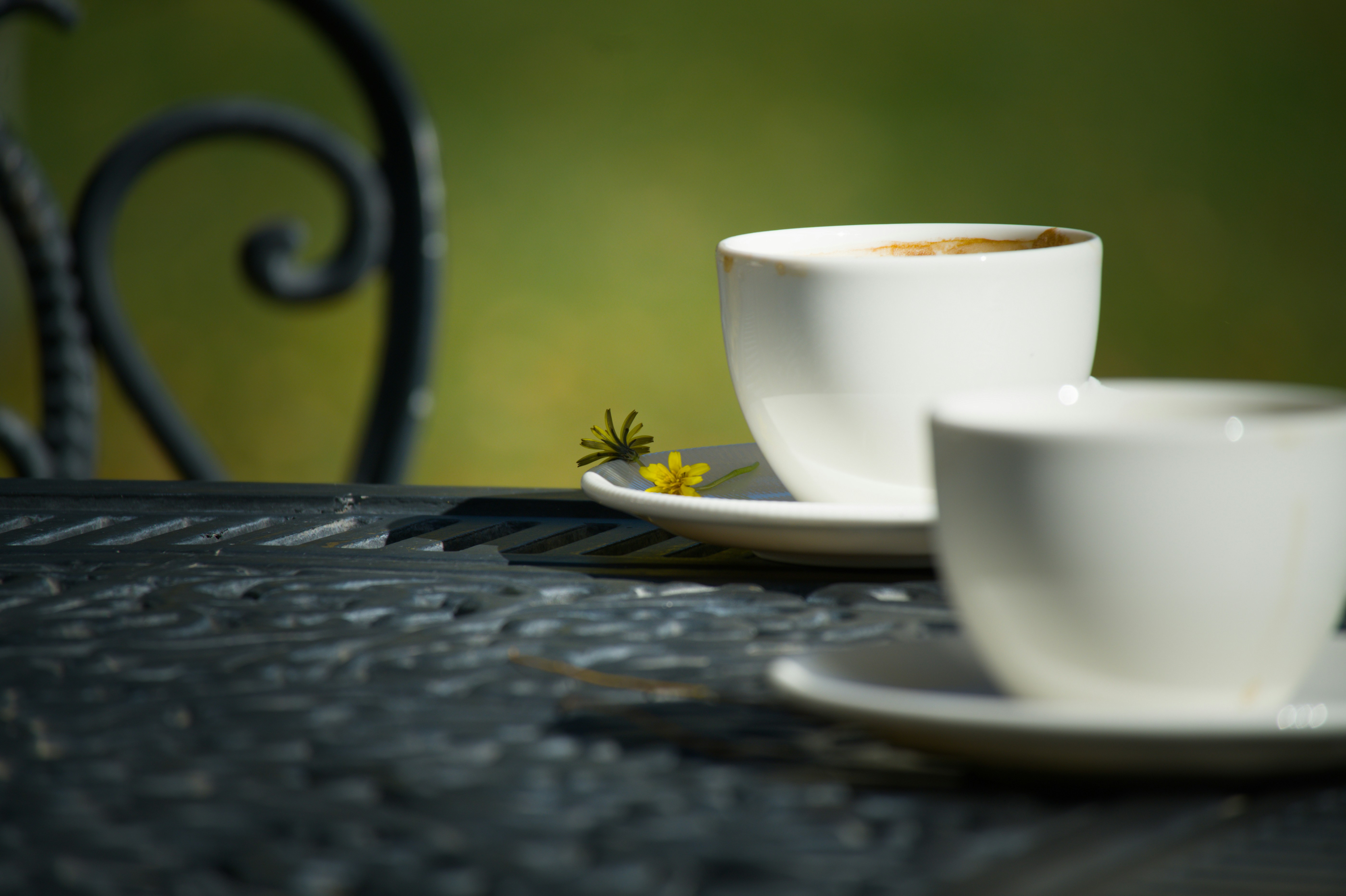 Verdant Focus: A Tiny Yellow Flower Between Two White Cups