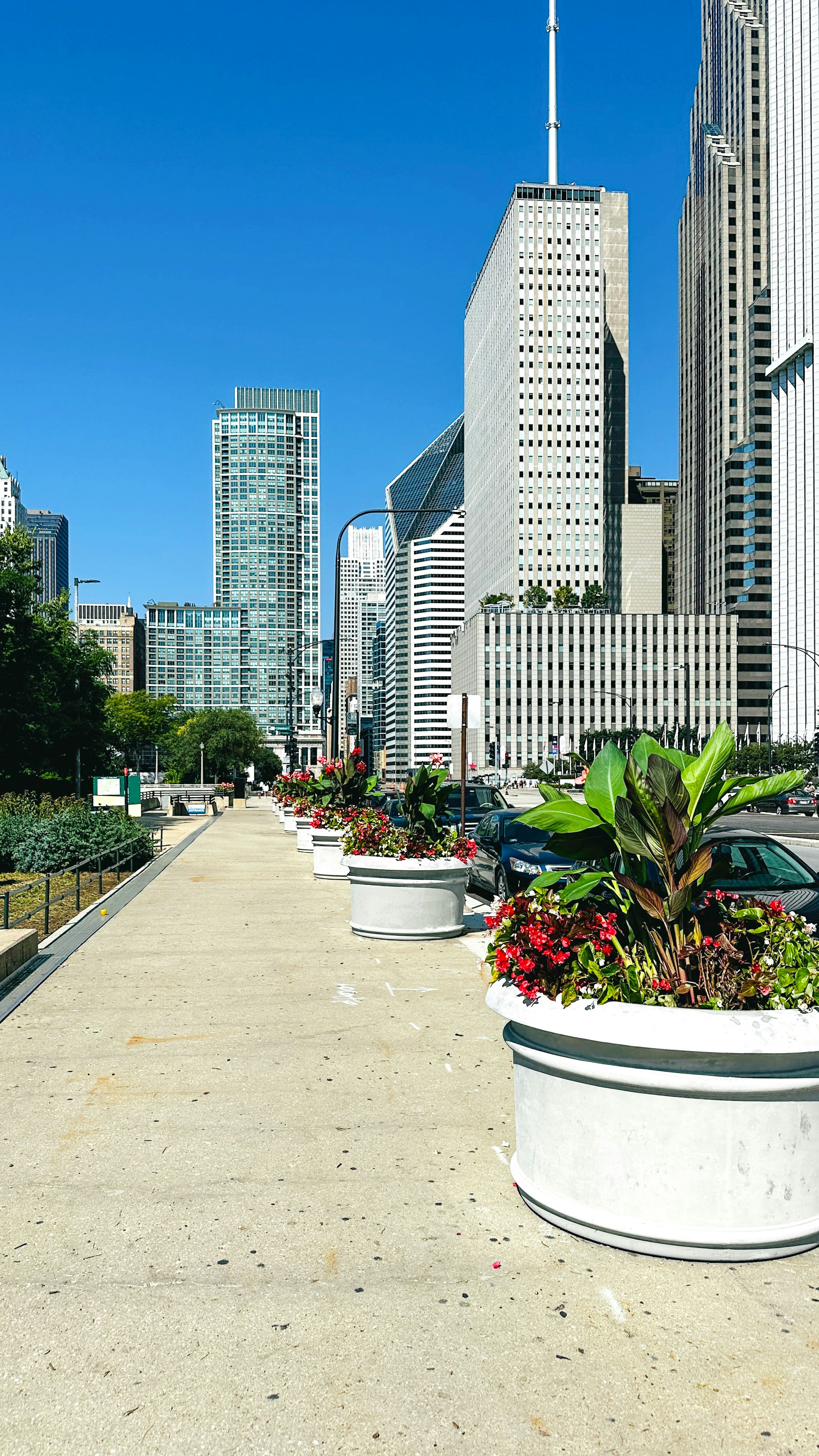 Sunlit Corridor: Planters Framing a Towering Cityscape