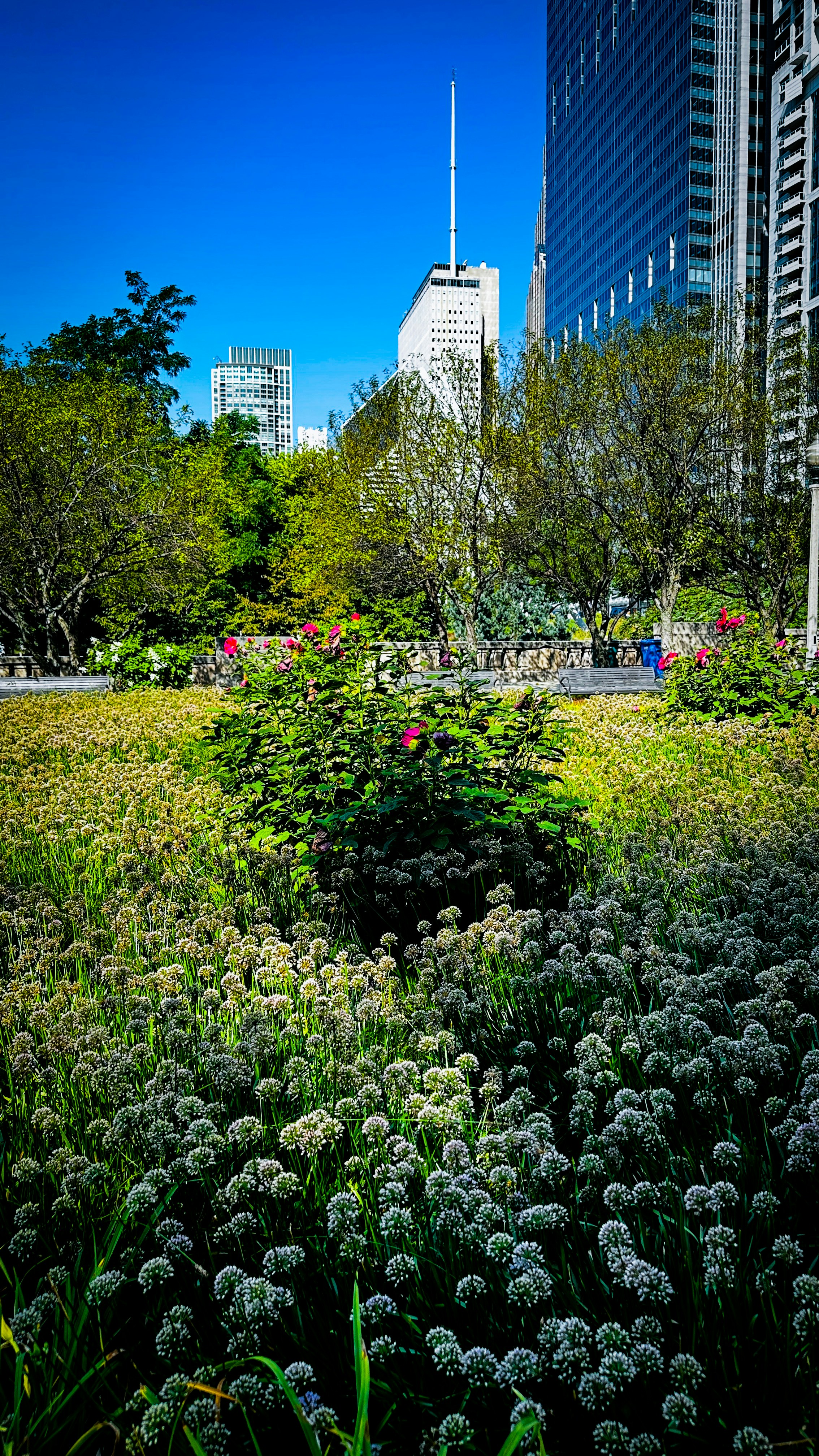 Photo by PJ Soans with Apple iPhone 14 Pro Max