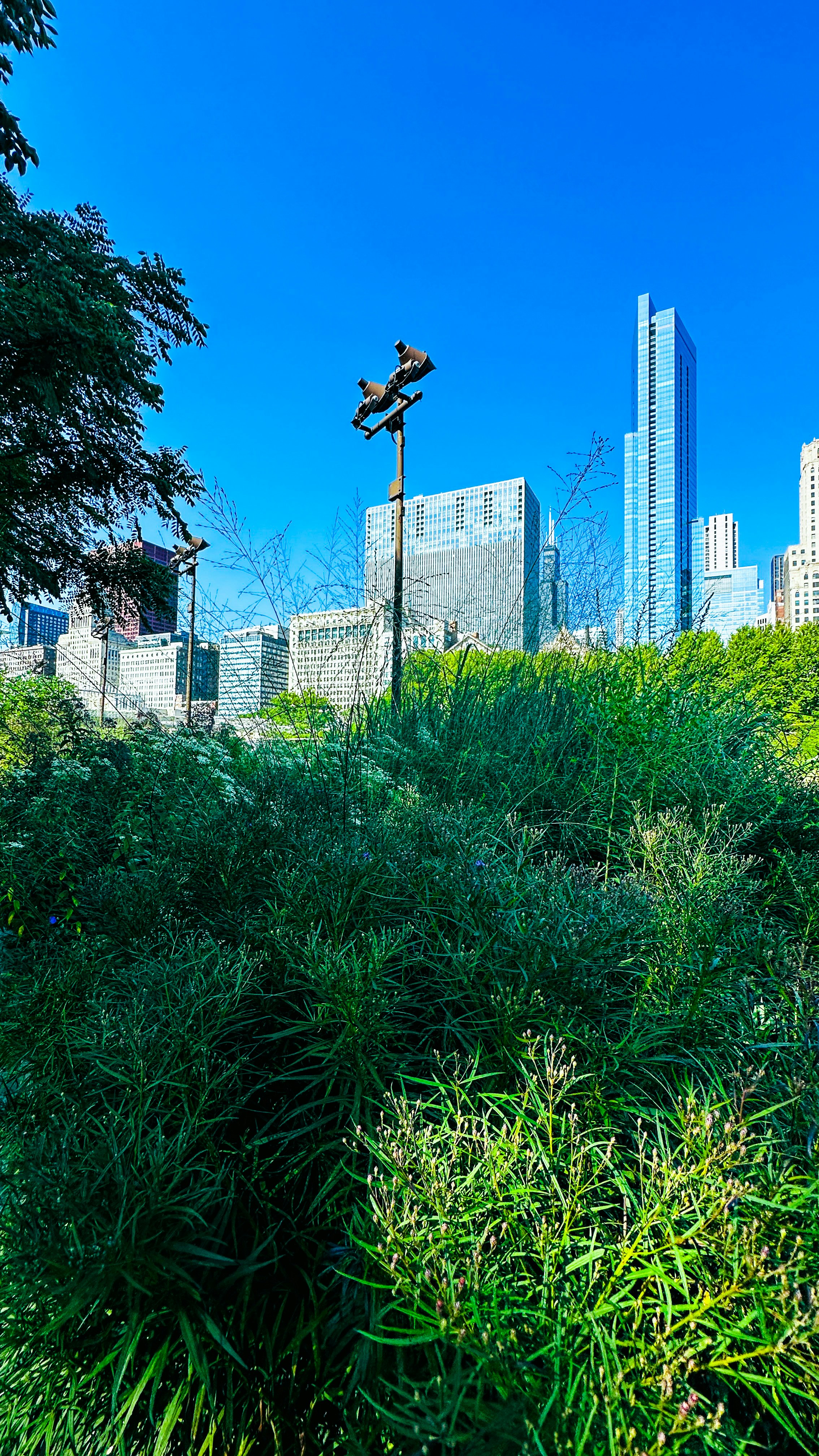 Watchful Mast Over a Green City: Glass Giants Against a Spring Sky