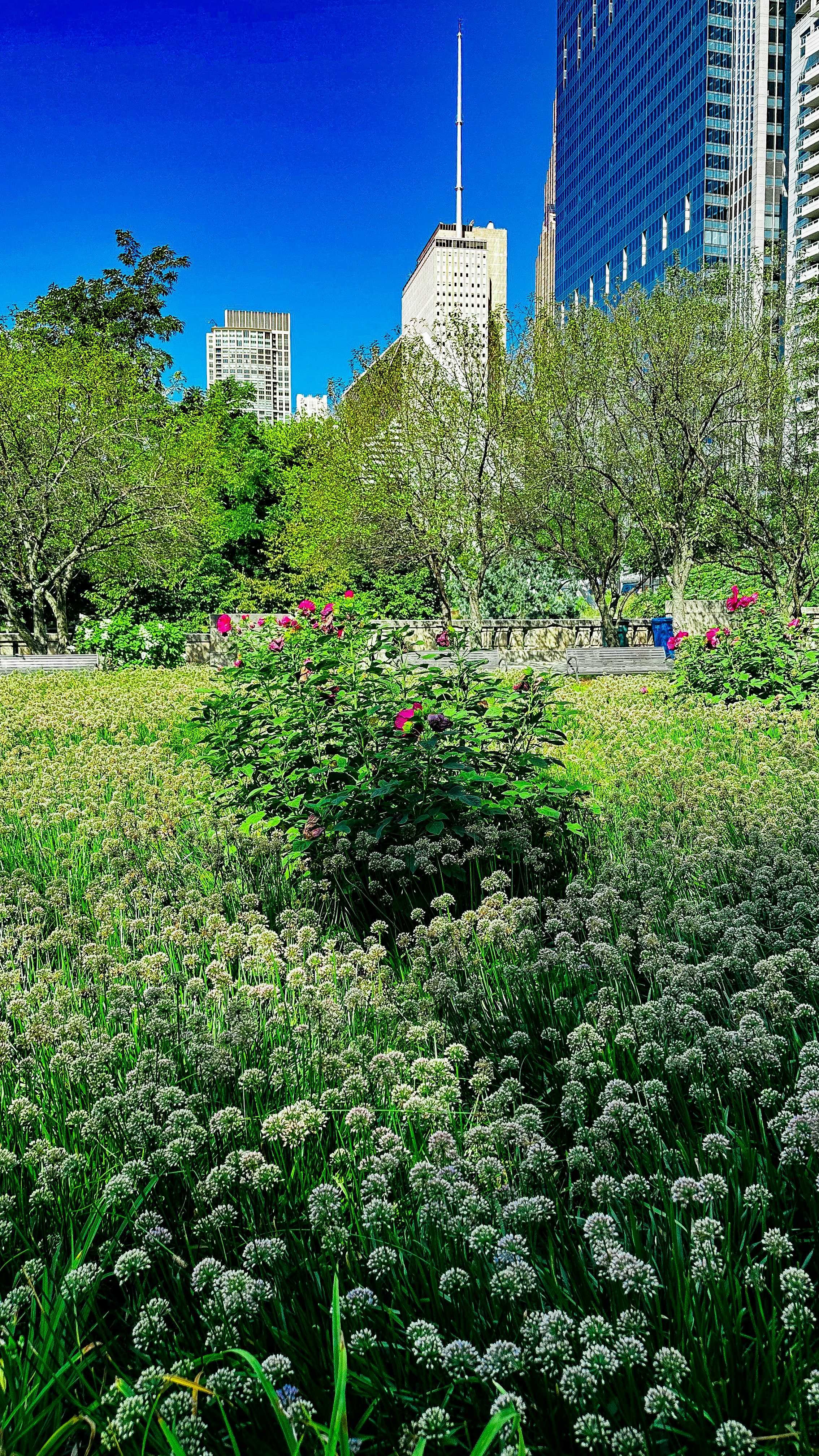 Photo by PJ Soans with Apple iPhone 14 Pro Max