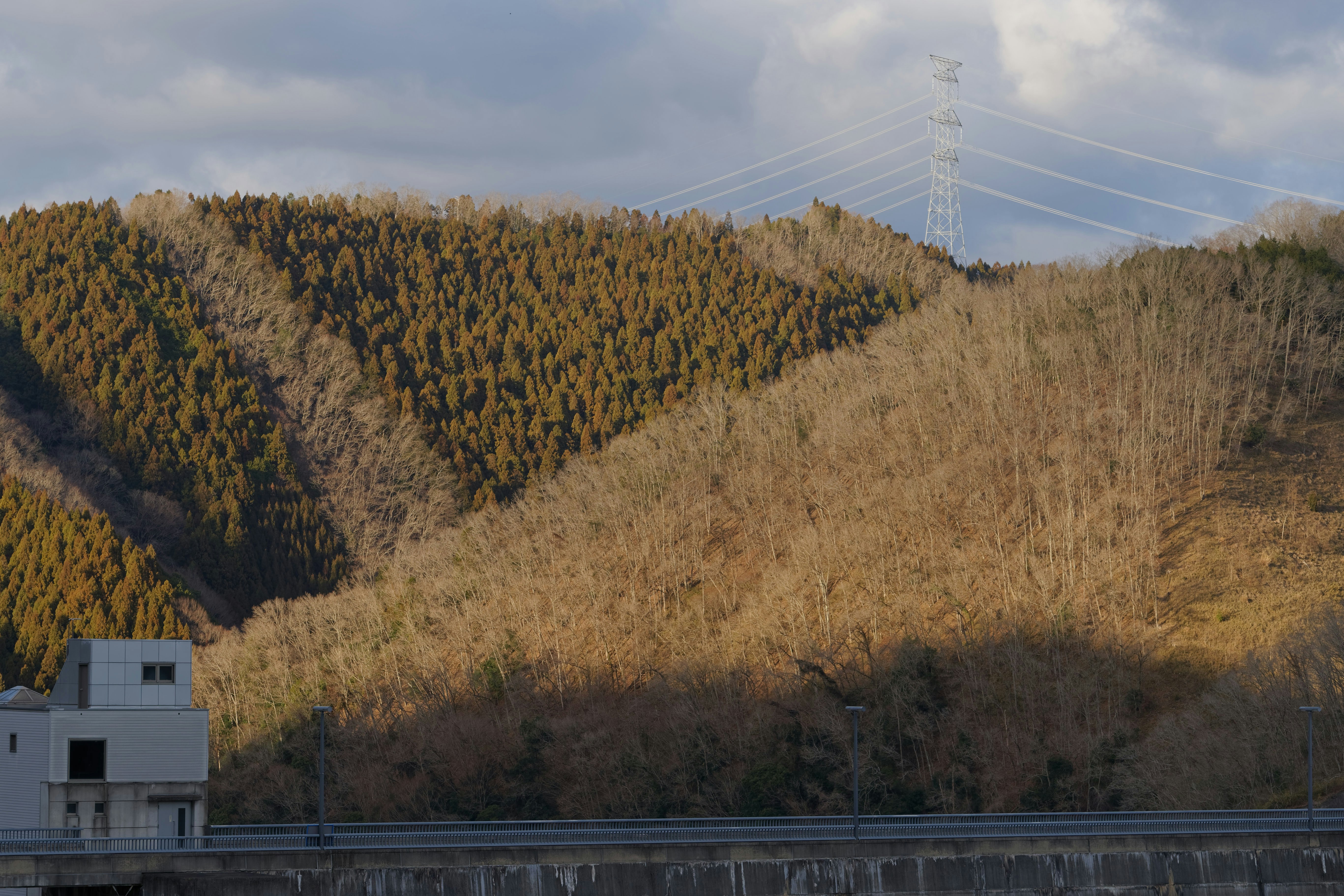 A forested mountain range with a power line tower.