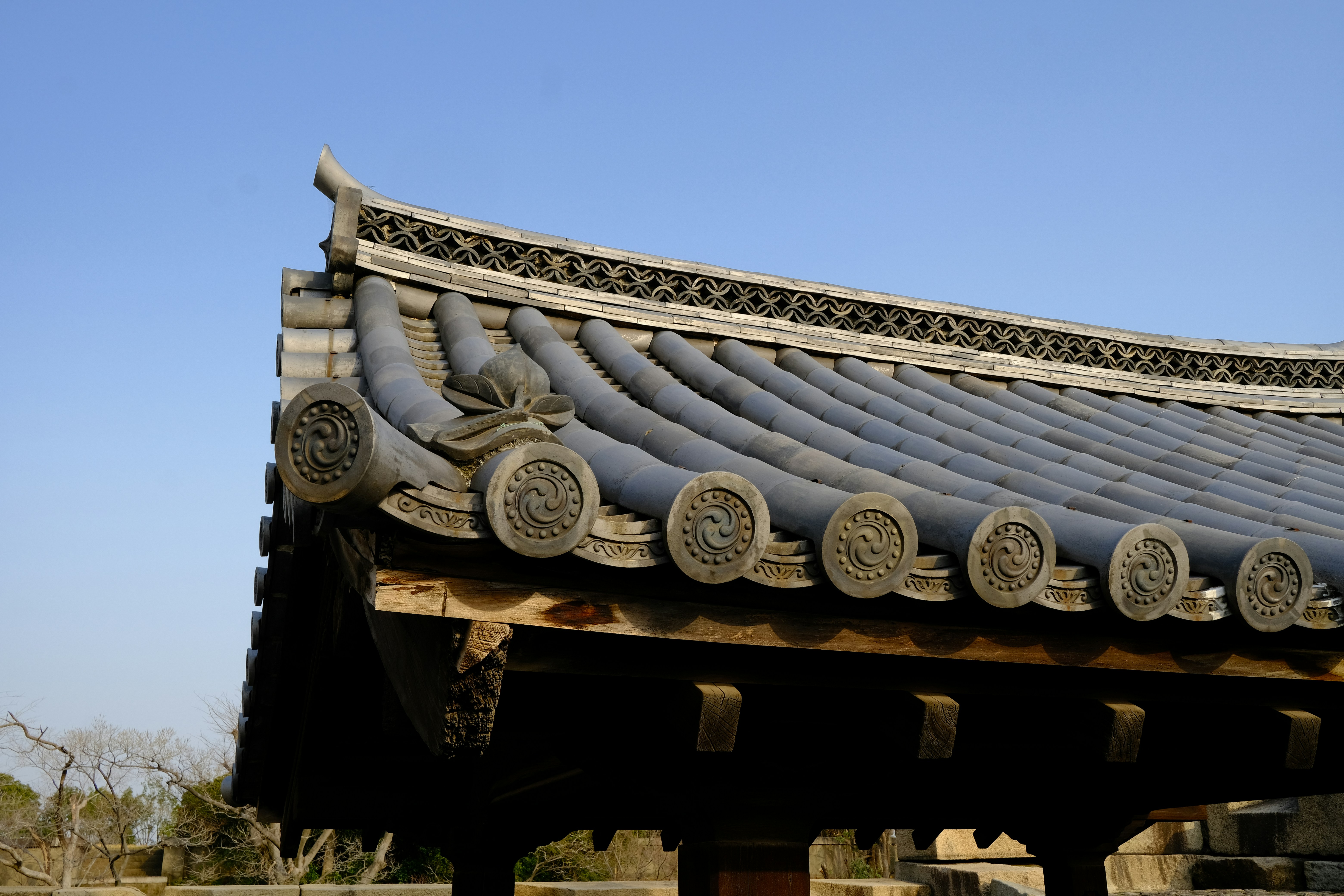 Photo by Avi Varma with Fujifilm X-T4