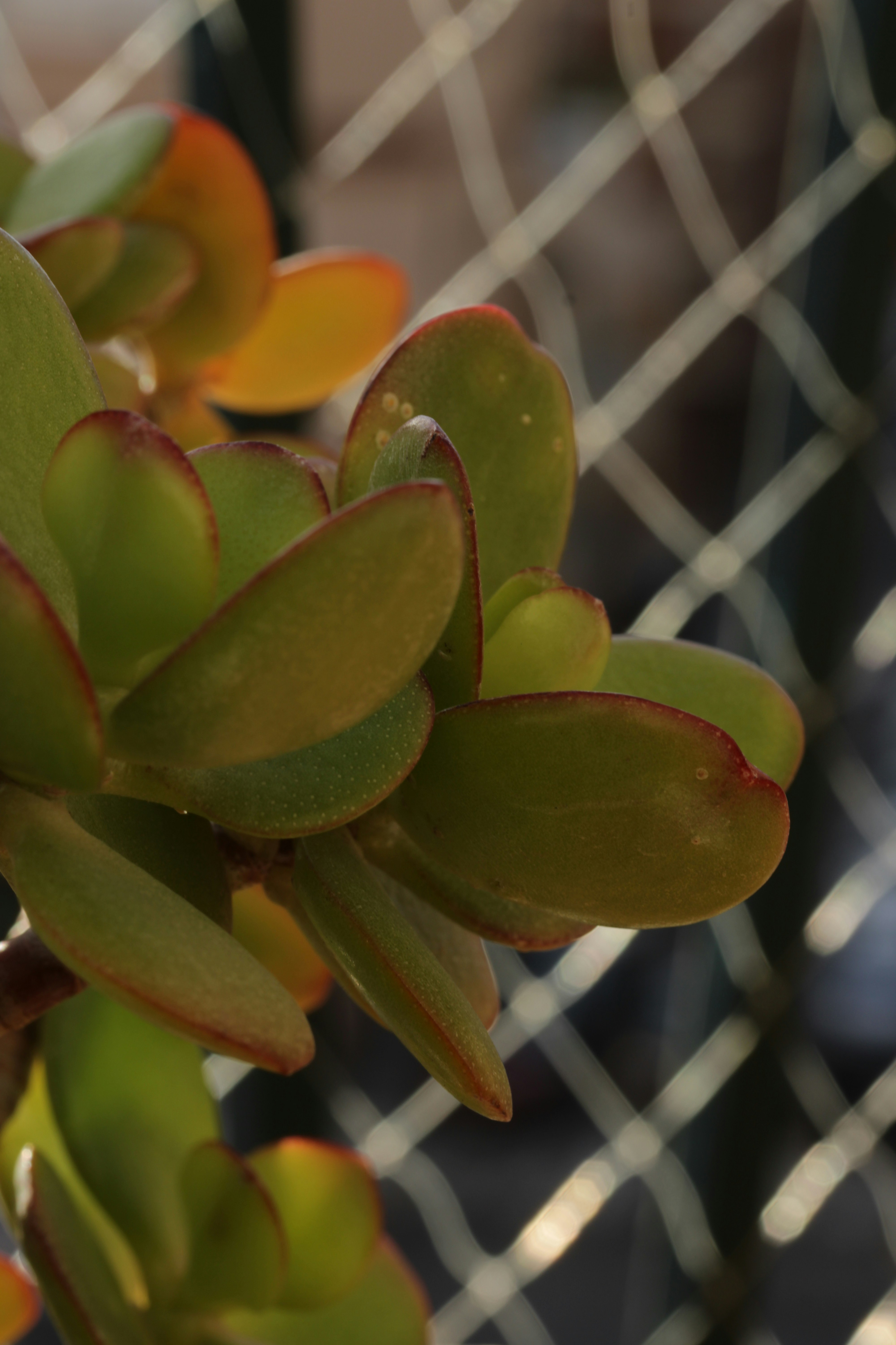 Photo by Susana Bartolome with Canon EOS 2000D