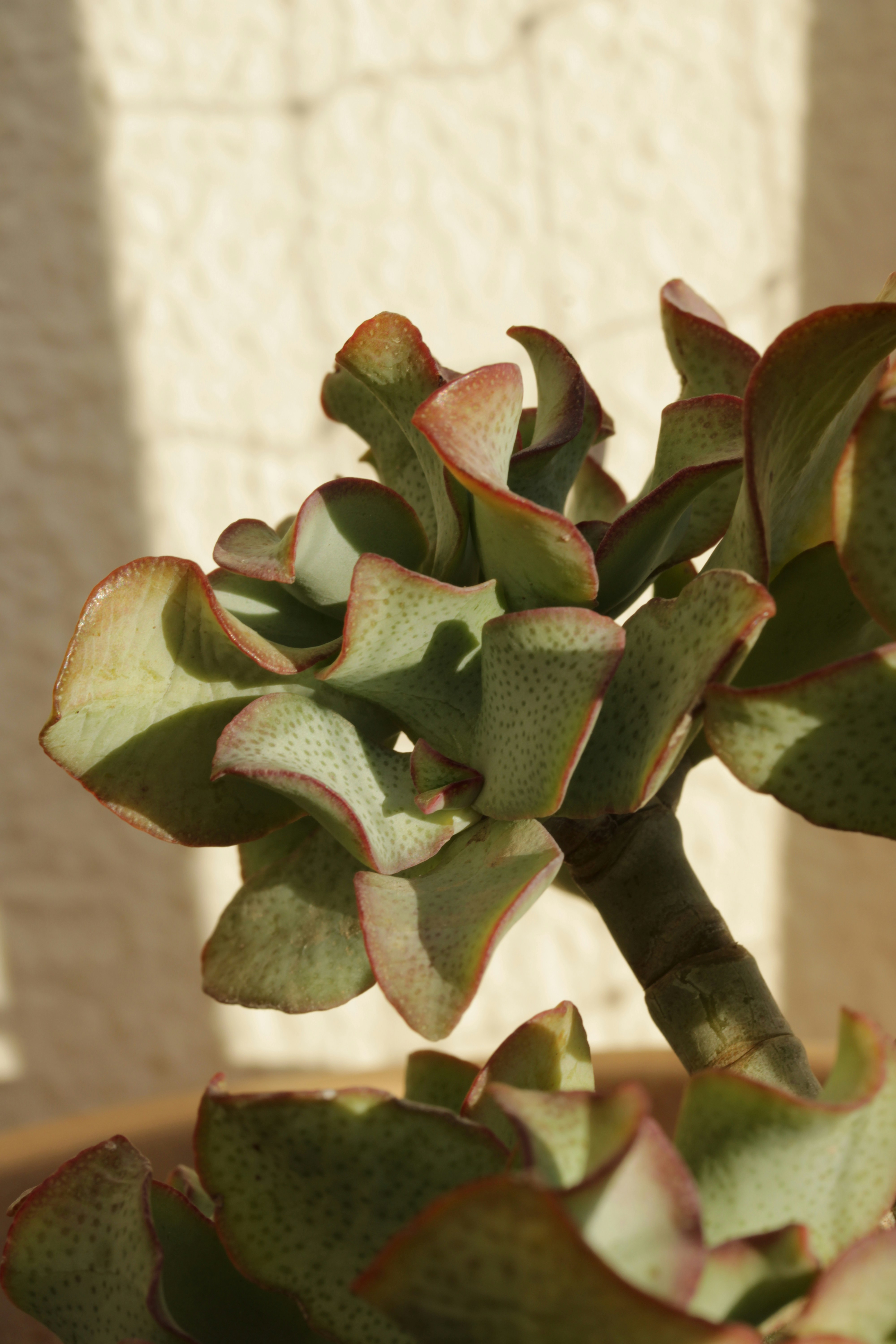 Photo by Susana Bartolome with Canon EOS 2000D