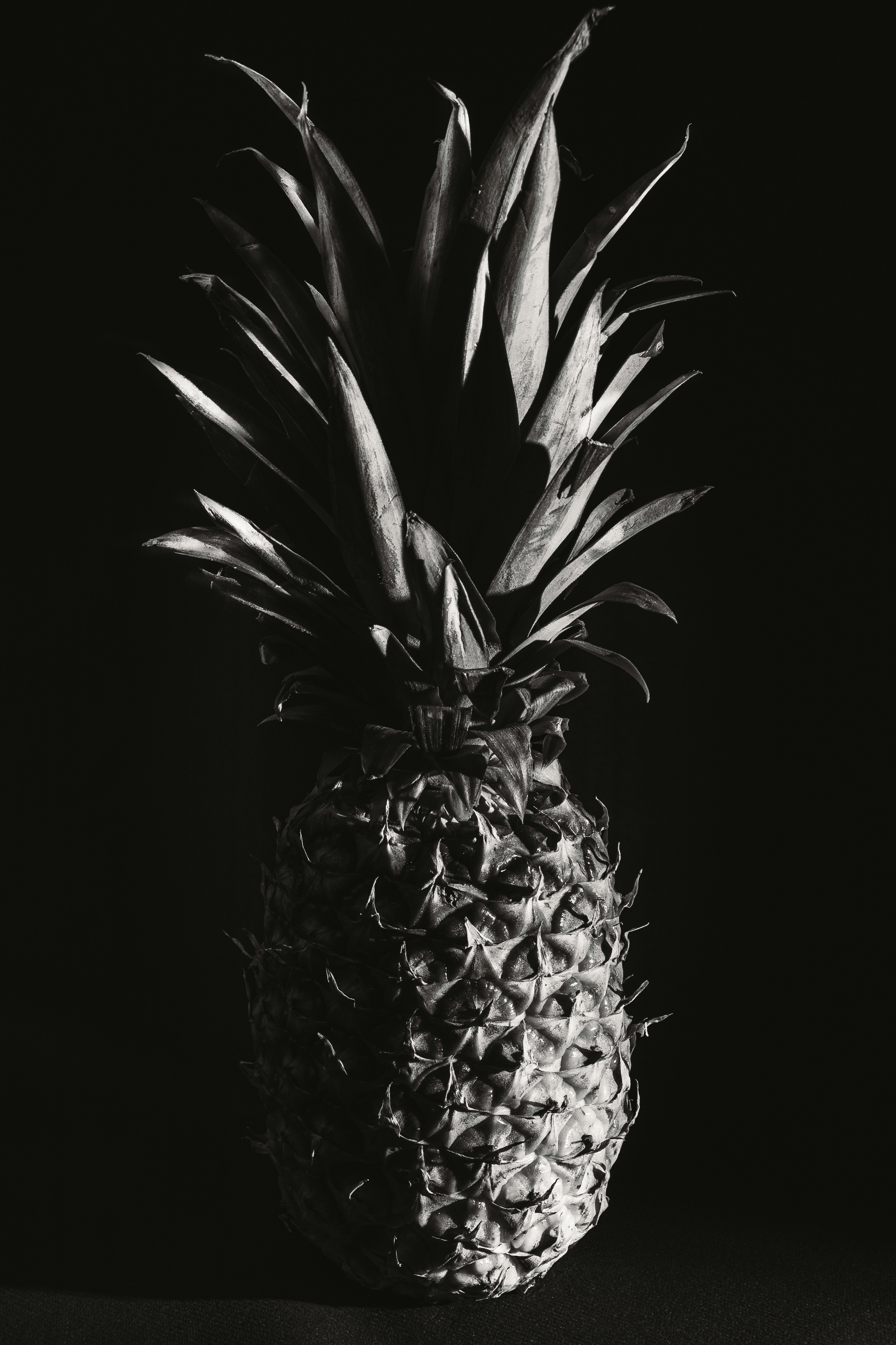 Photo by Daan Verhoost with Canon EOS 80D