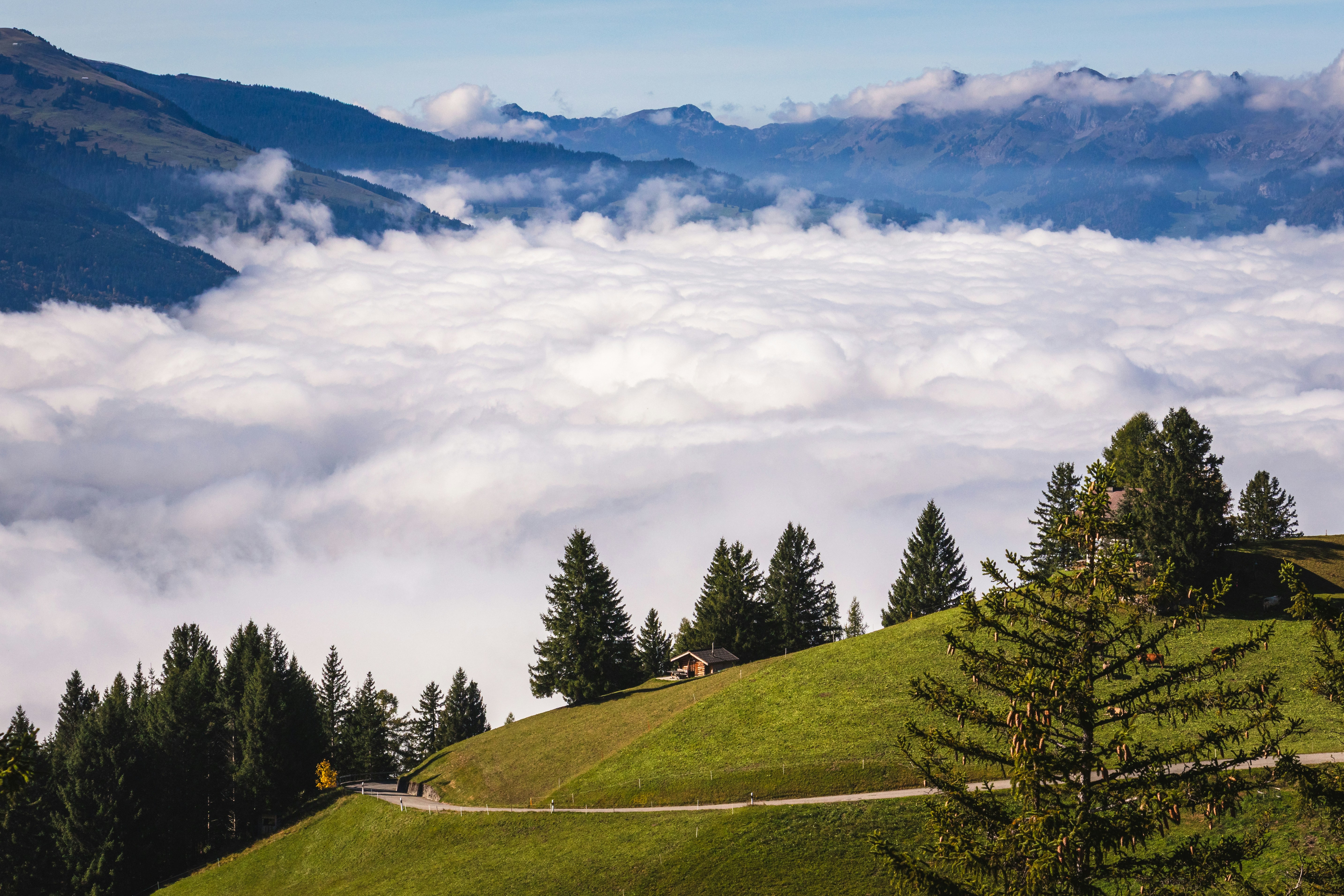 Photo by Daan Verhoost with Canon EOS 80D