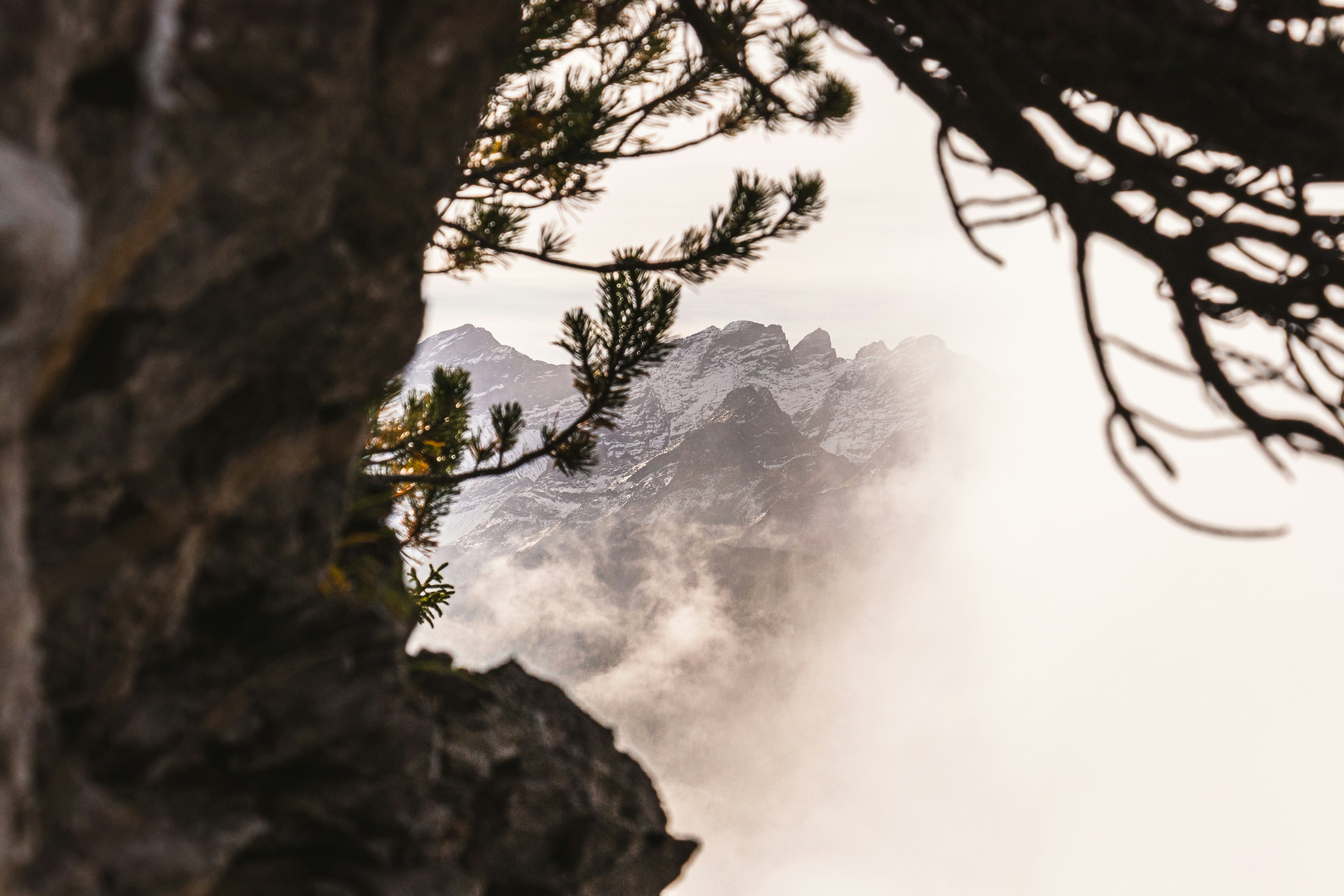 Photo by Daan Verhoost with Canon EOS 80D