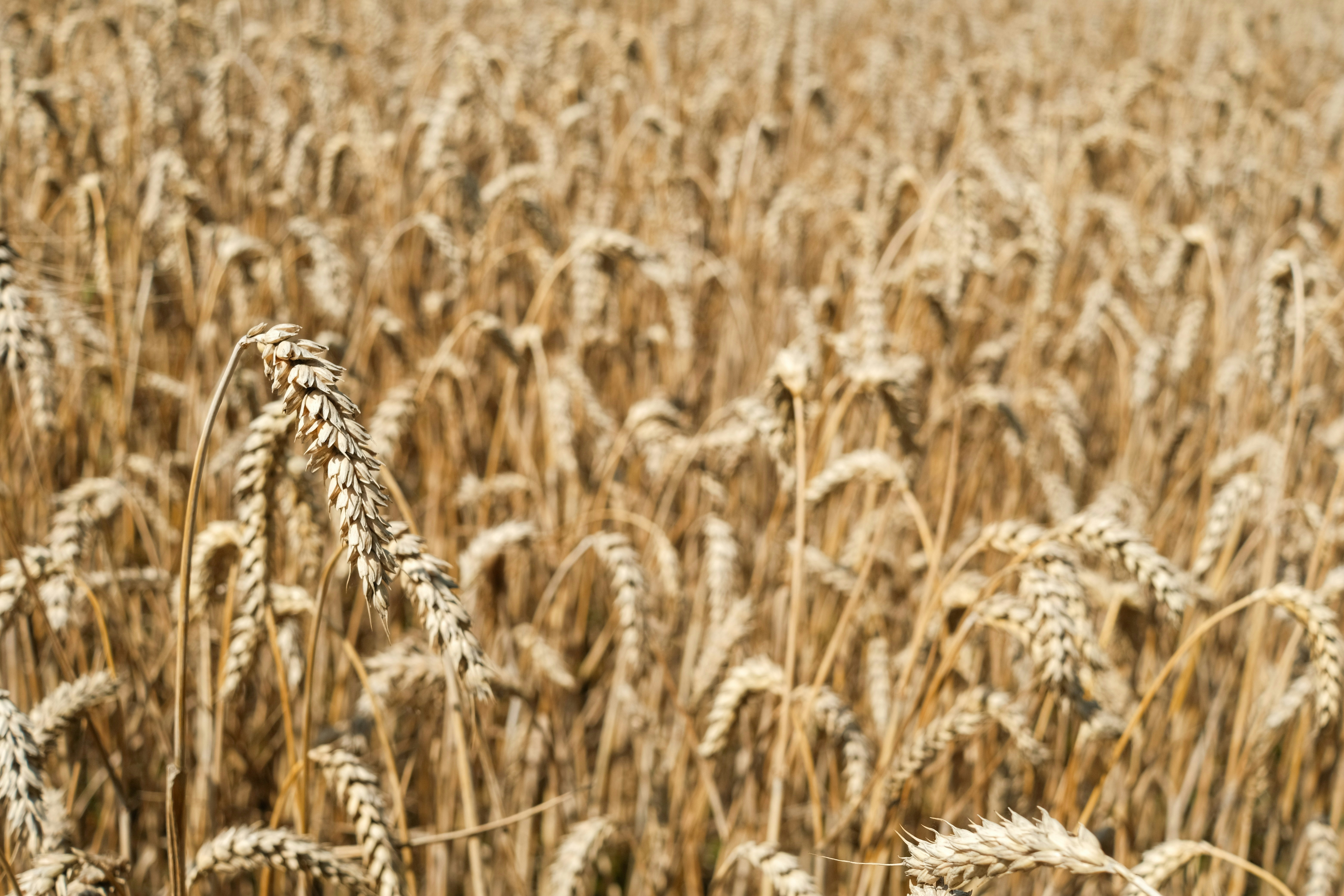 Photo by Robert Katzki with Fujifilm X-T30 II