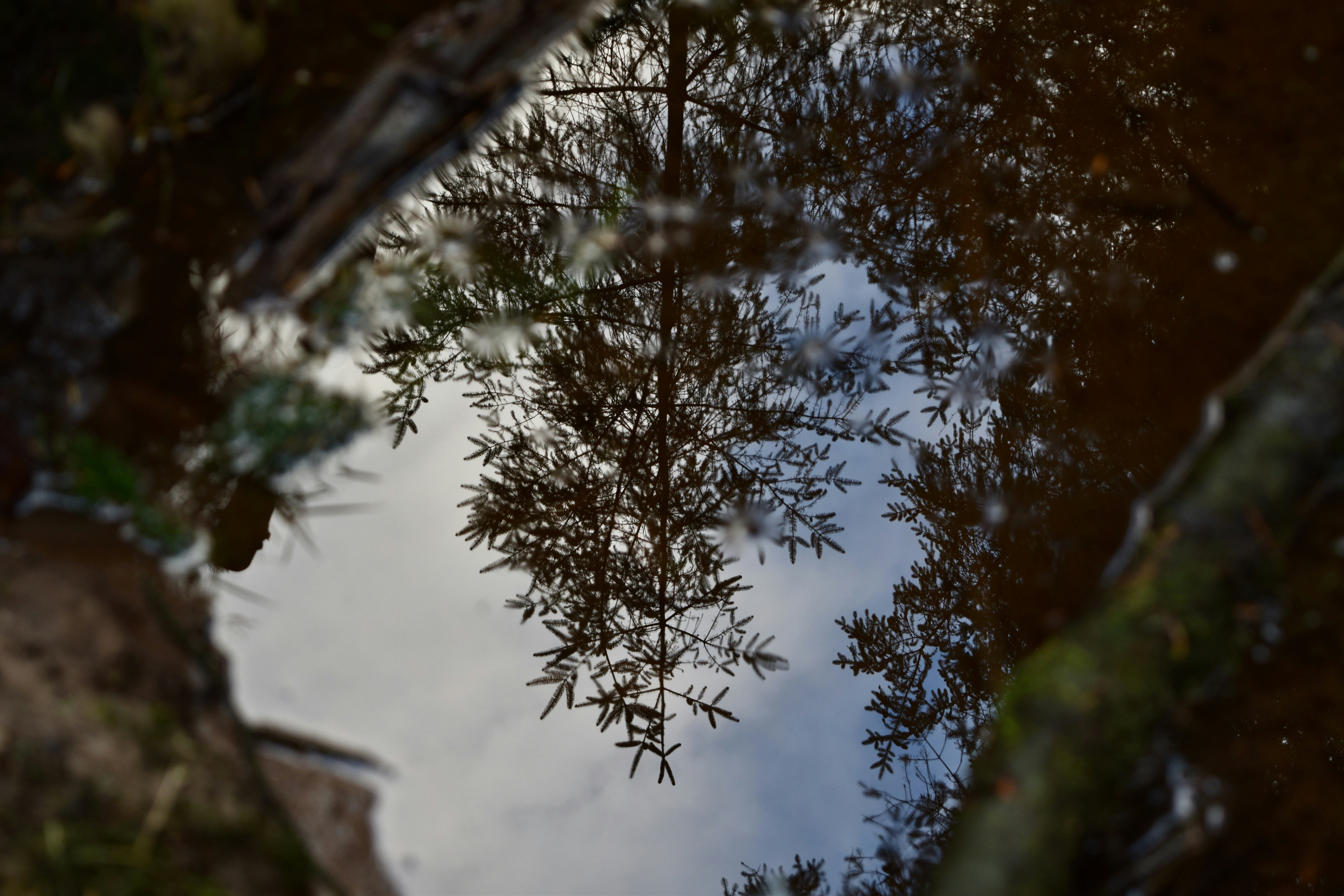 Photo by Max Brindley with Nikon D5600