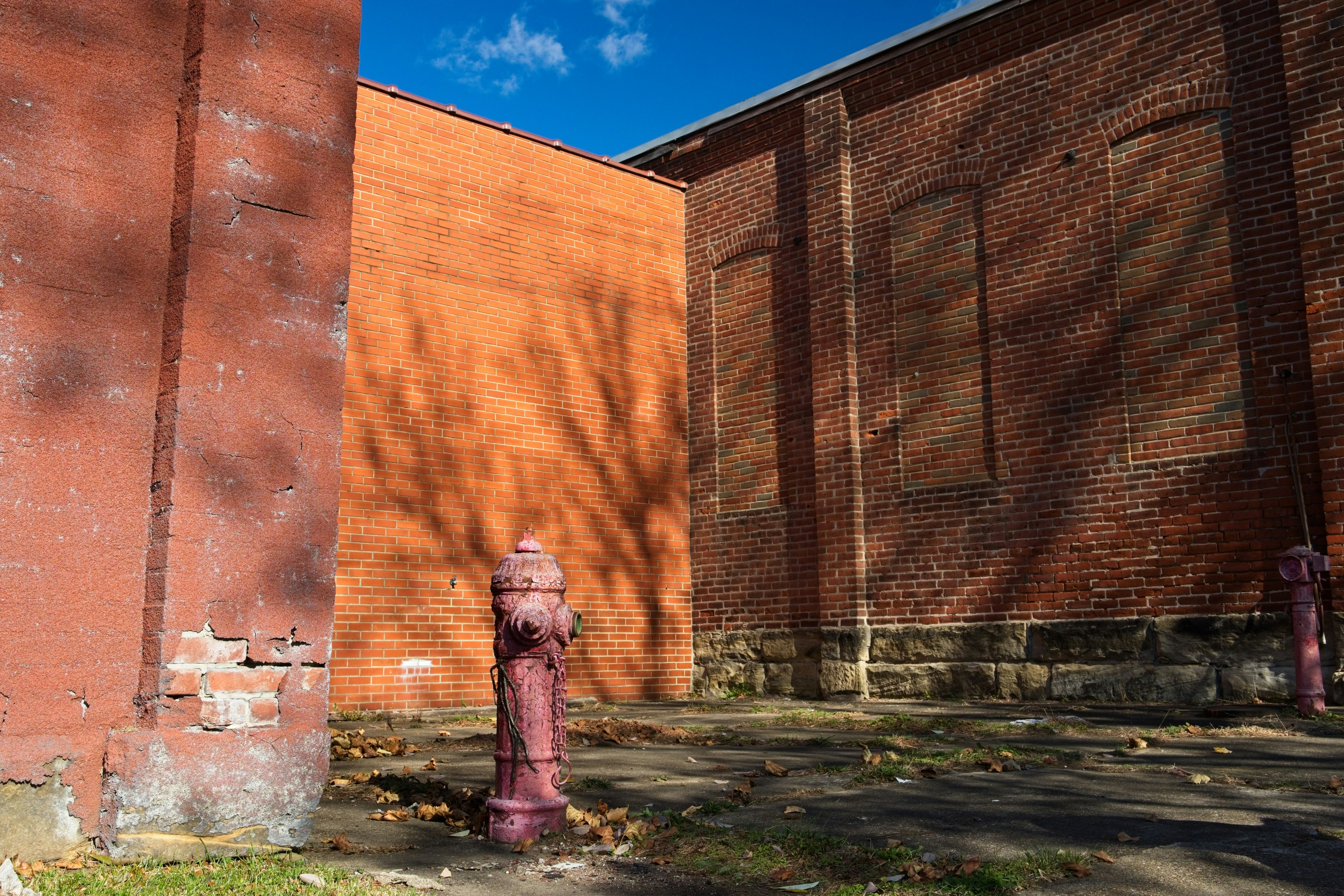 Pink Hydrant in a Shadowed Brick Courtyard at Afternoon Light
