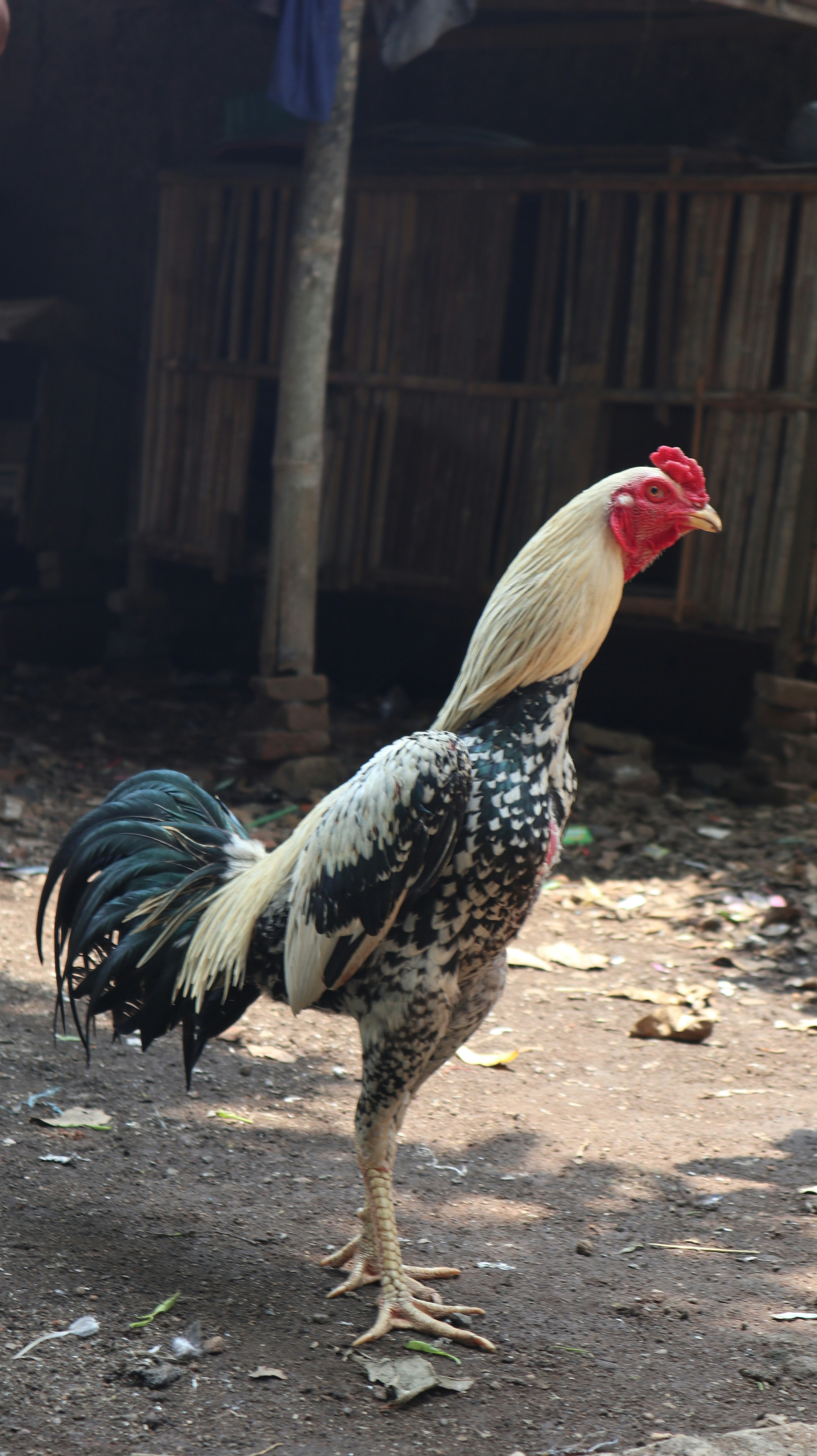 Photo by Ilham Ramadhan with Canon EOS M100