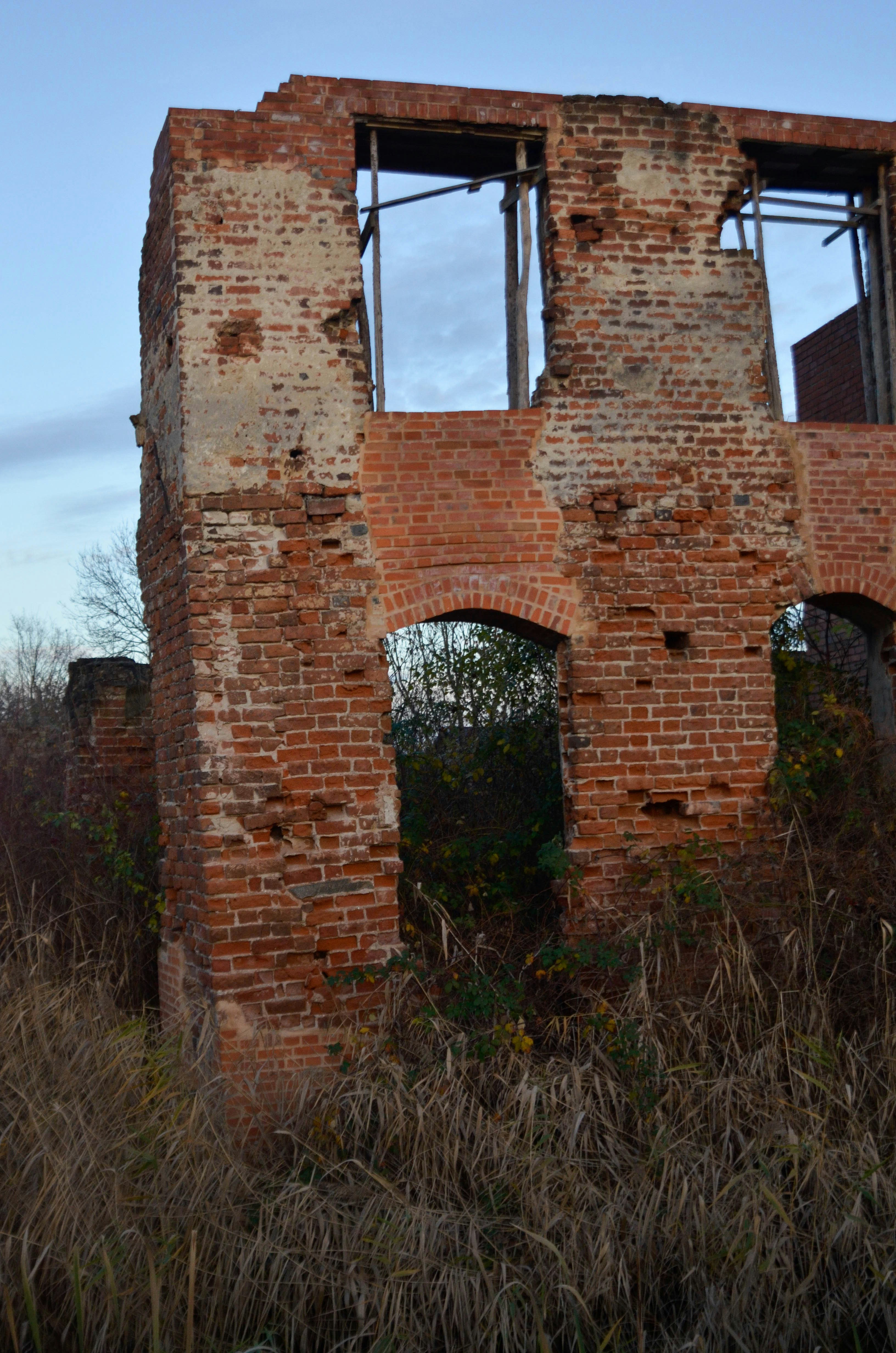 Timeworn Brick Arches Rising Over an Overgrown Field