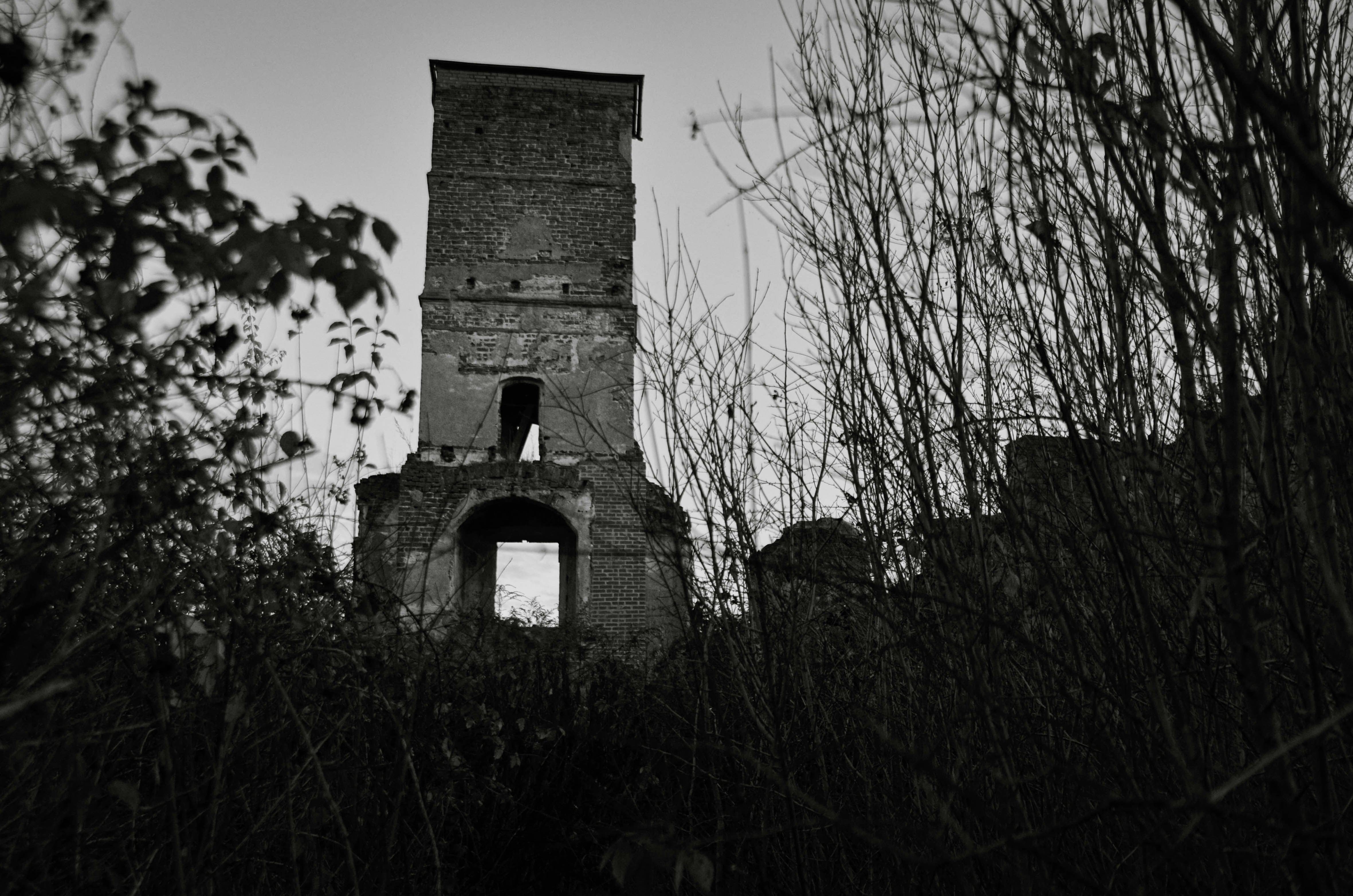 Photo by Helen Browne with Nikon D5100