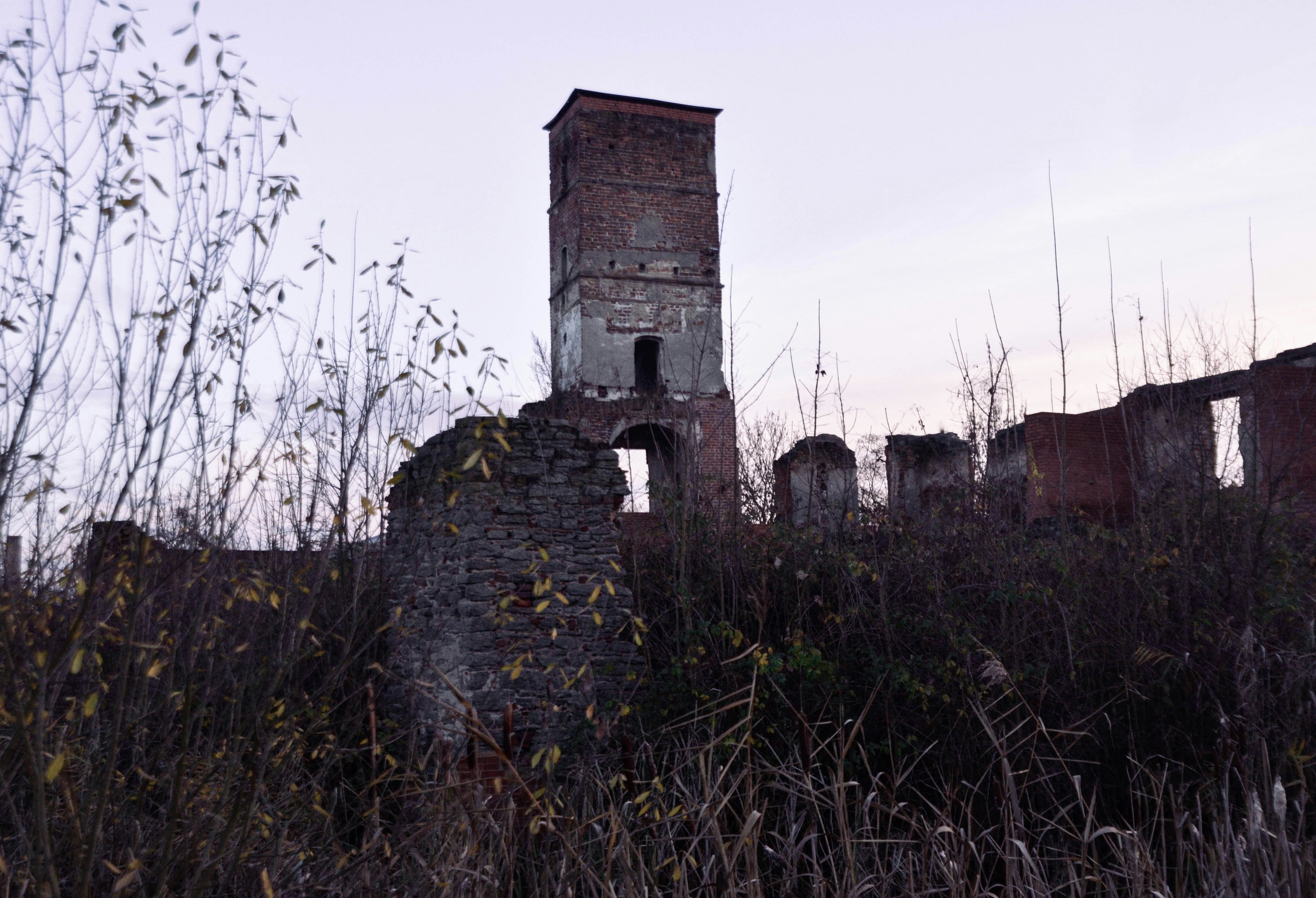 Brick Sentinel: Tower Rising Above Overgrown Ruins at Dusk