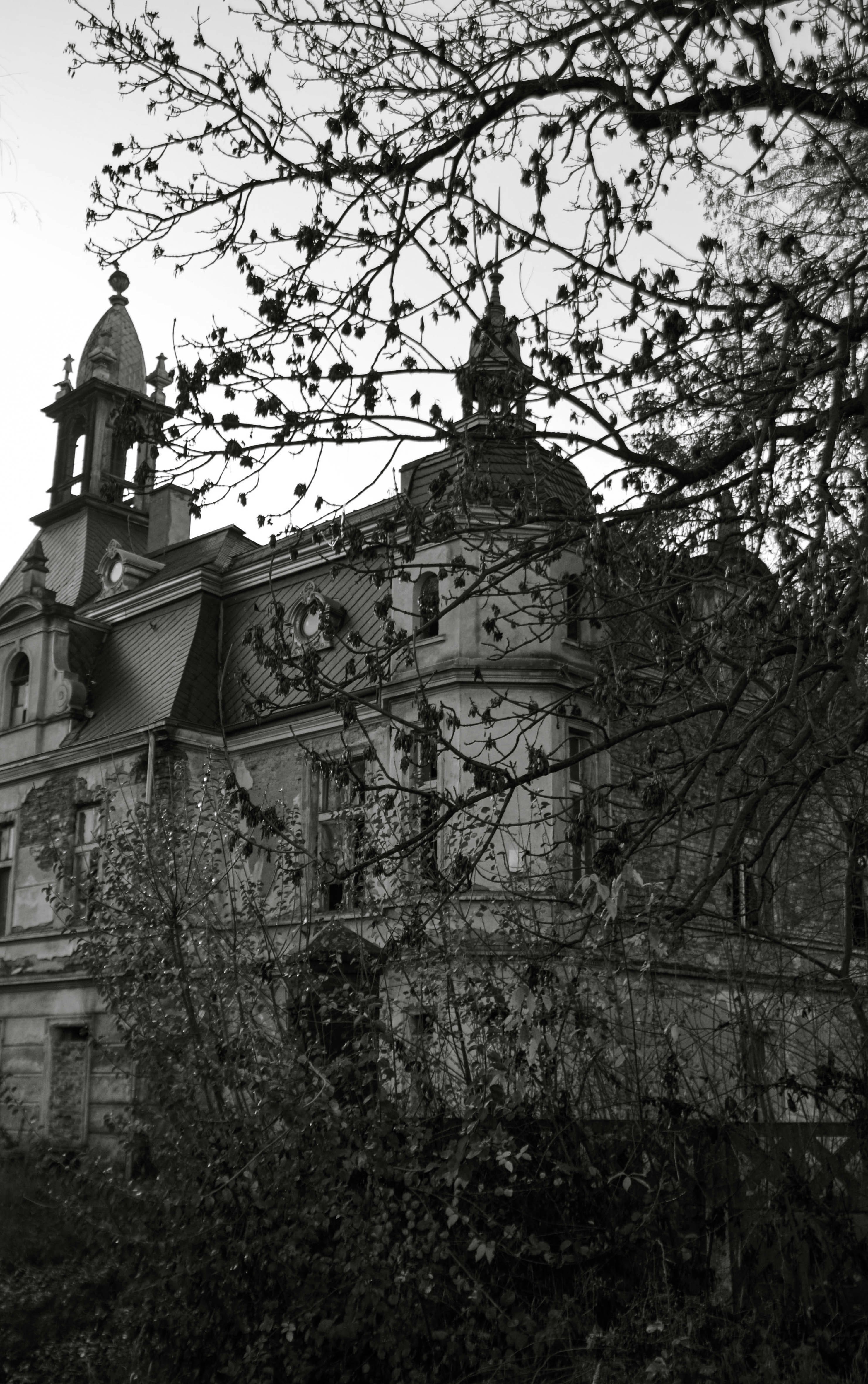 Monochrome Manor: Branches Framing a Timeworn Facade