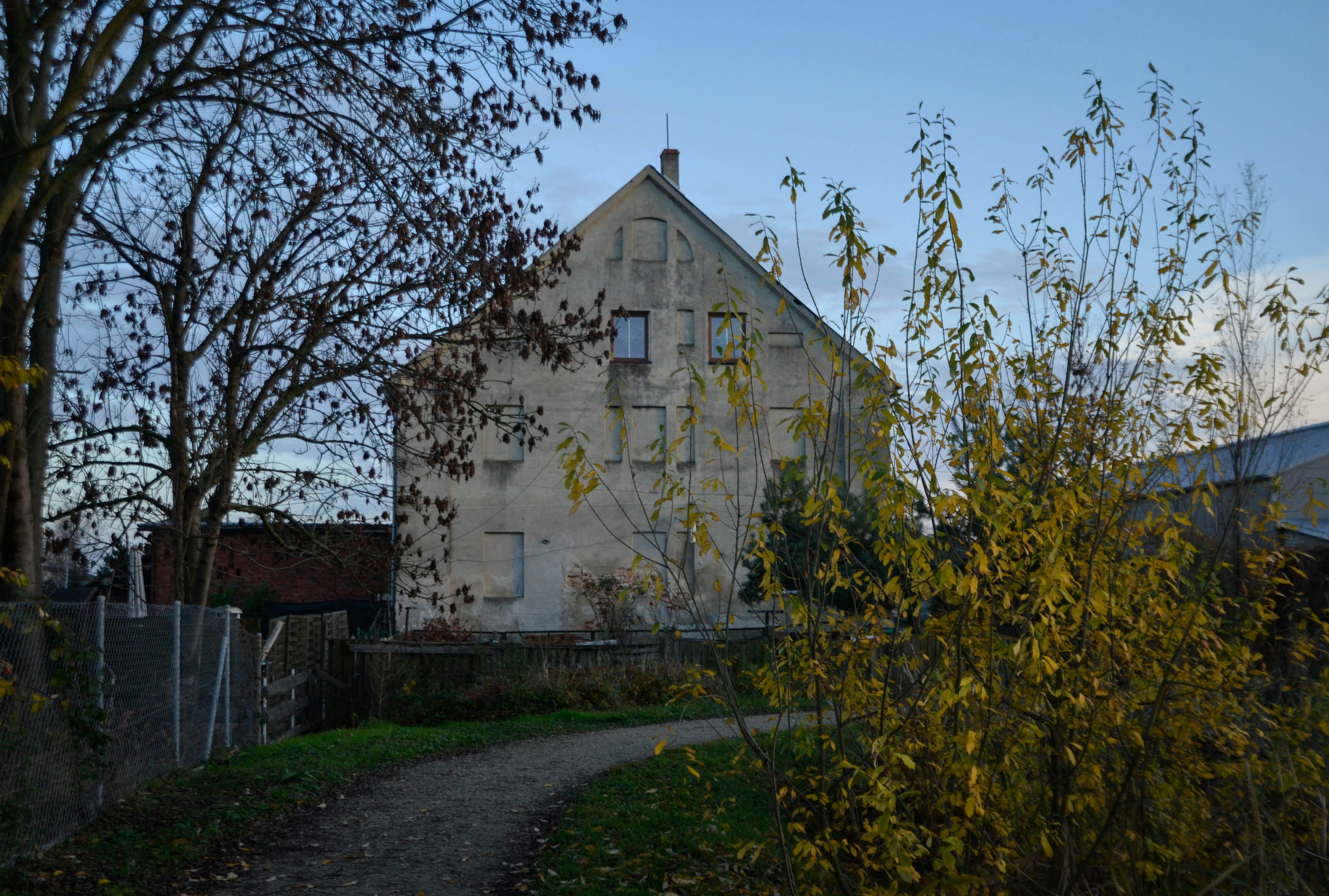 Autumn Quiet: Winding Path Meets a Weathered Farmhouse