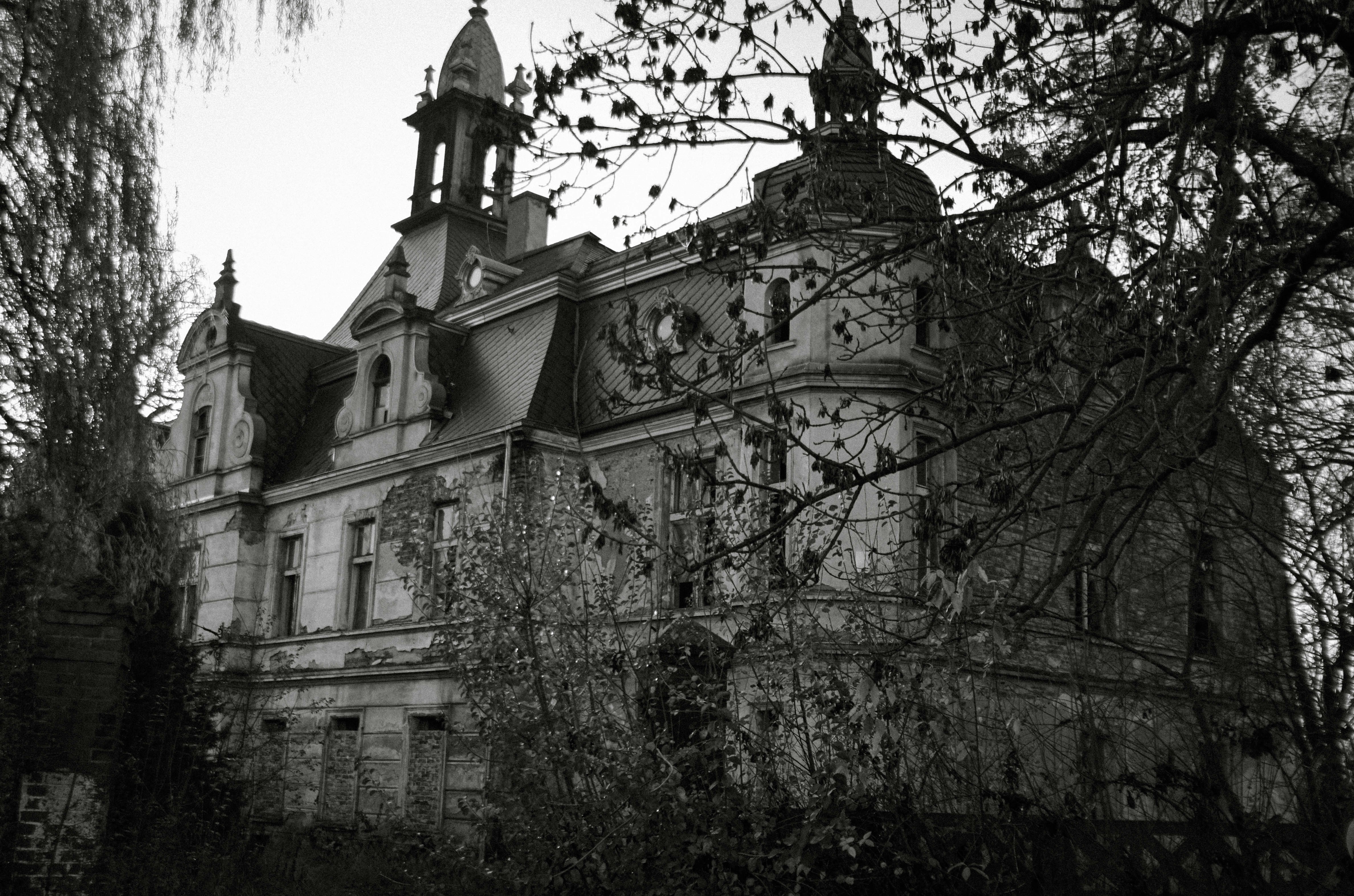 Gothic Decay: An Abandoned Manor Entwined by Winter Branches
