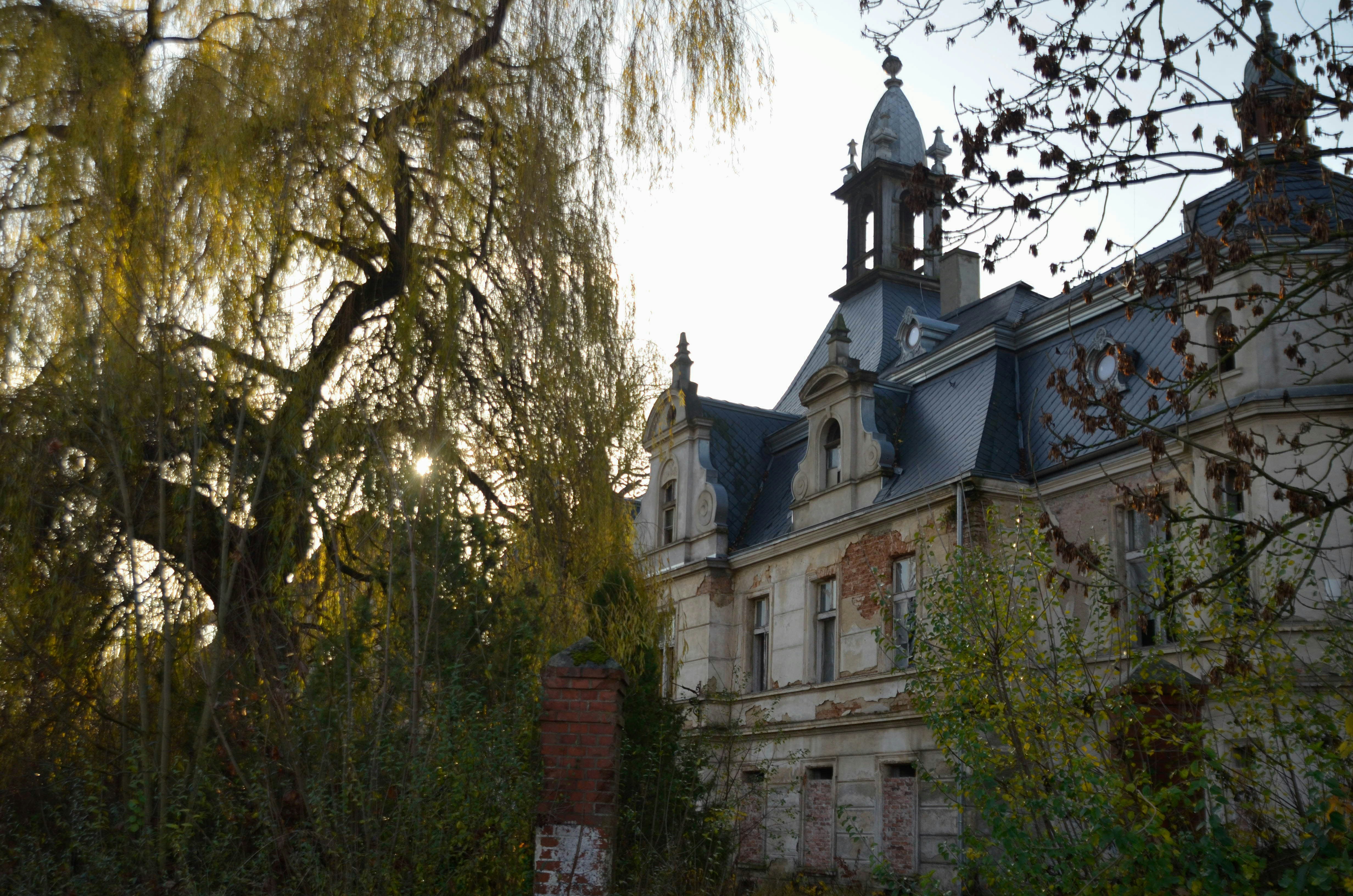 Photo by Helen Browne with Nikon D5100