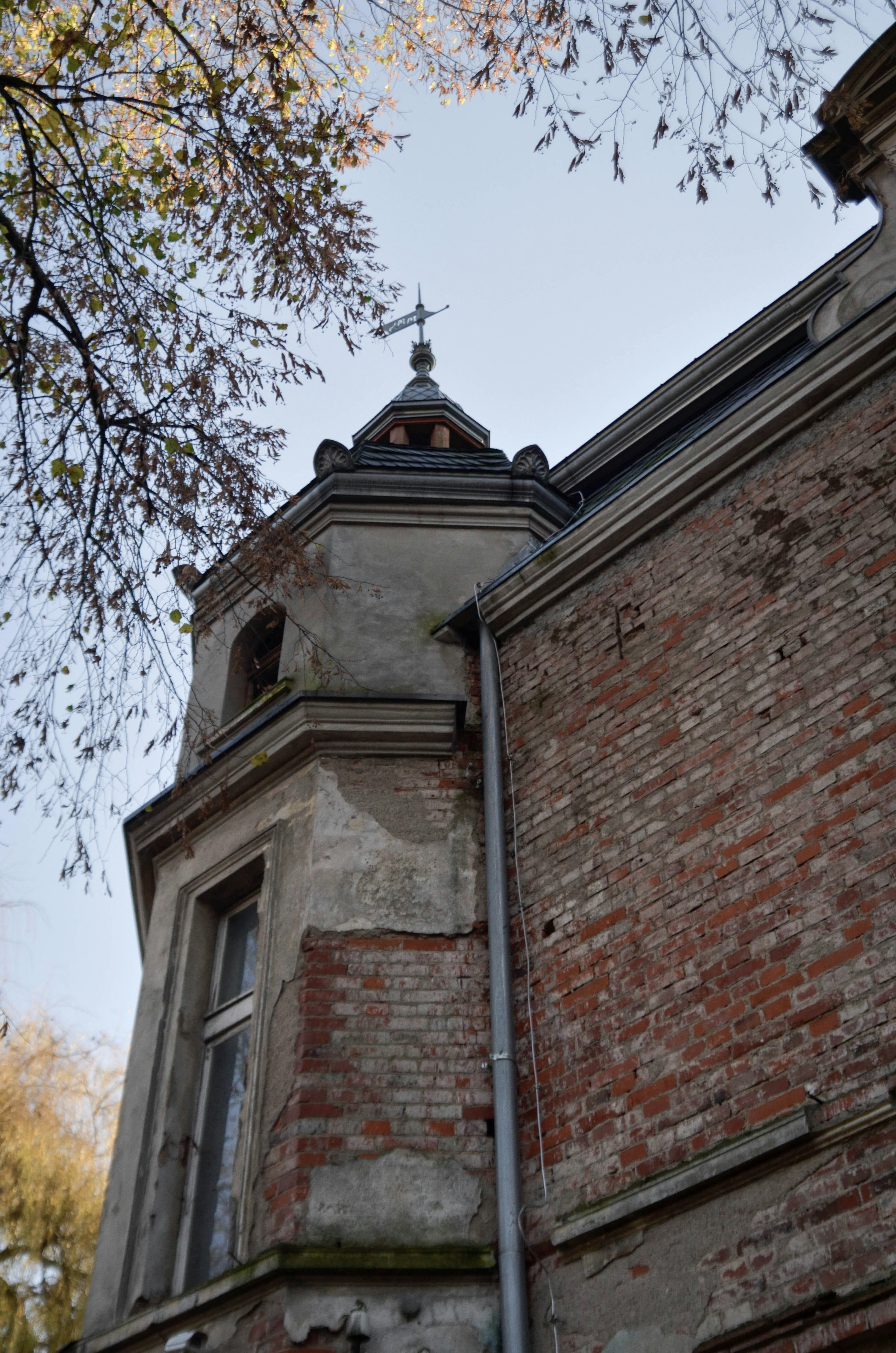 Photo by Helen Browne with Nikon D5100