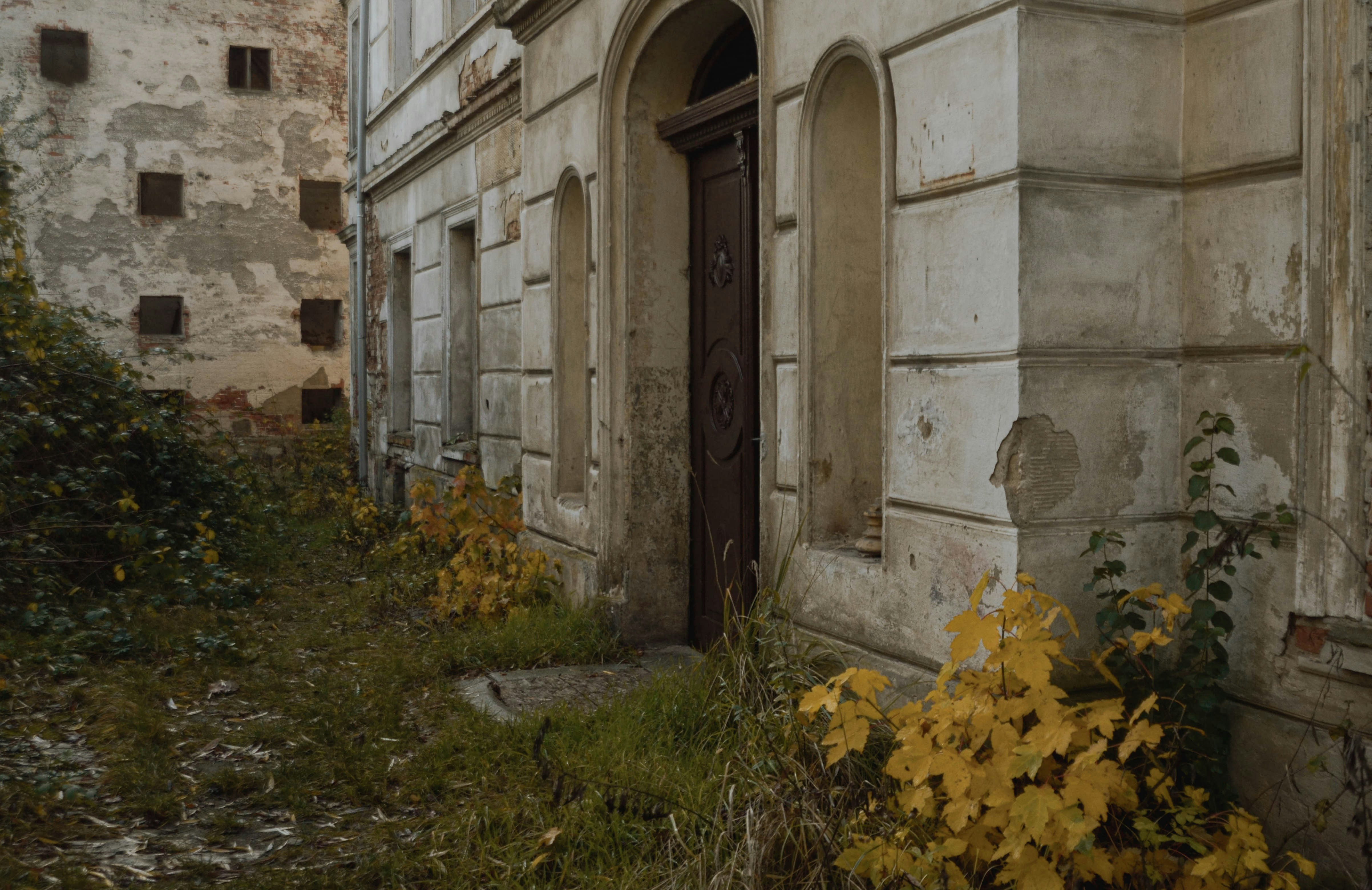 Doorway in a Quiet Facade: Autumn Veil over a Forgotten Courtyard