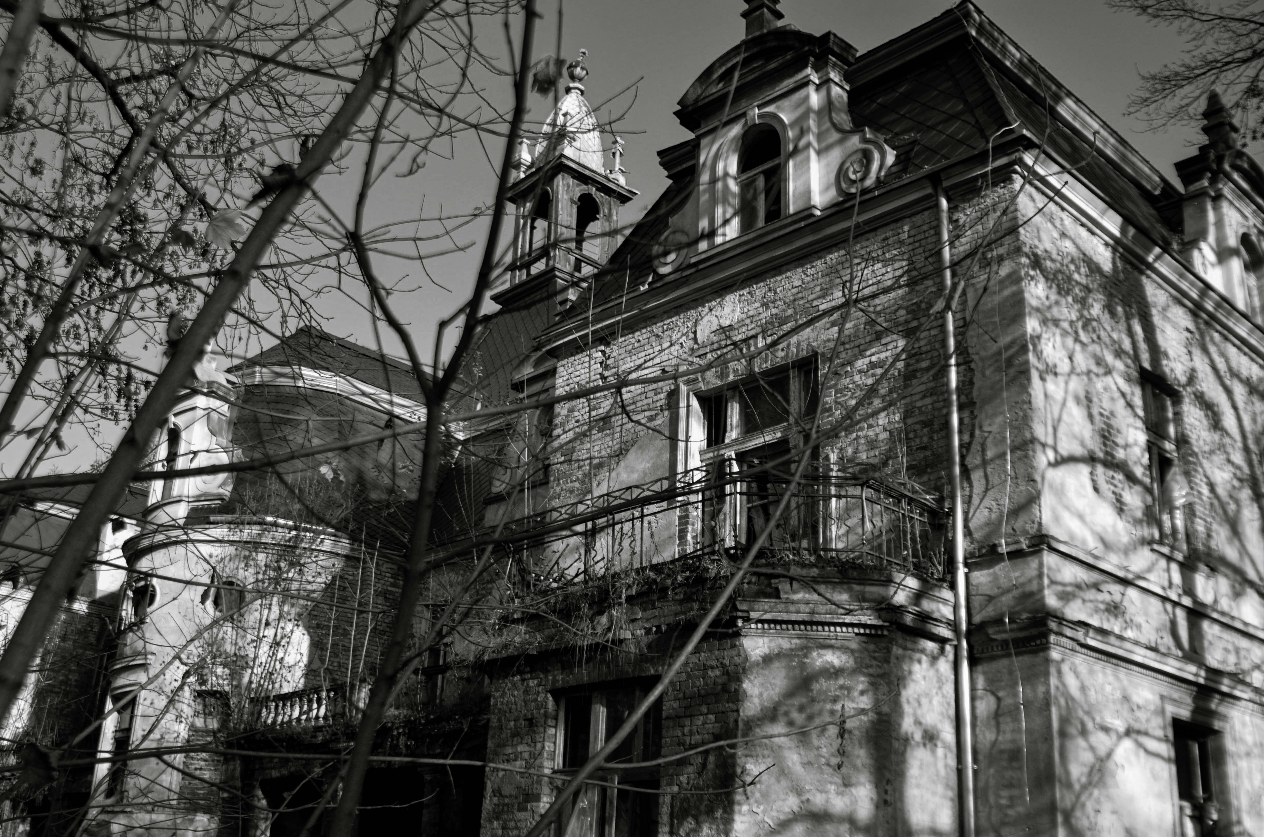 Cupola Above the Tangled Bricks: A Monochrome Facade