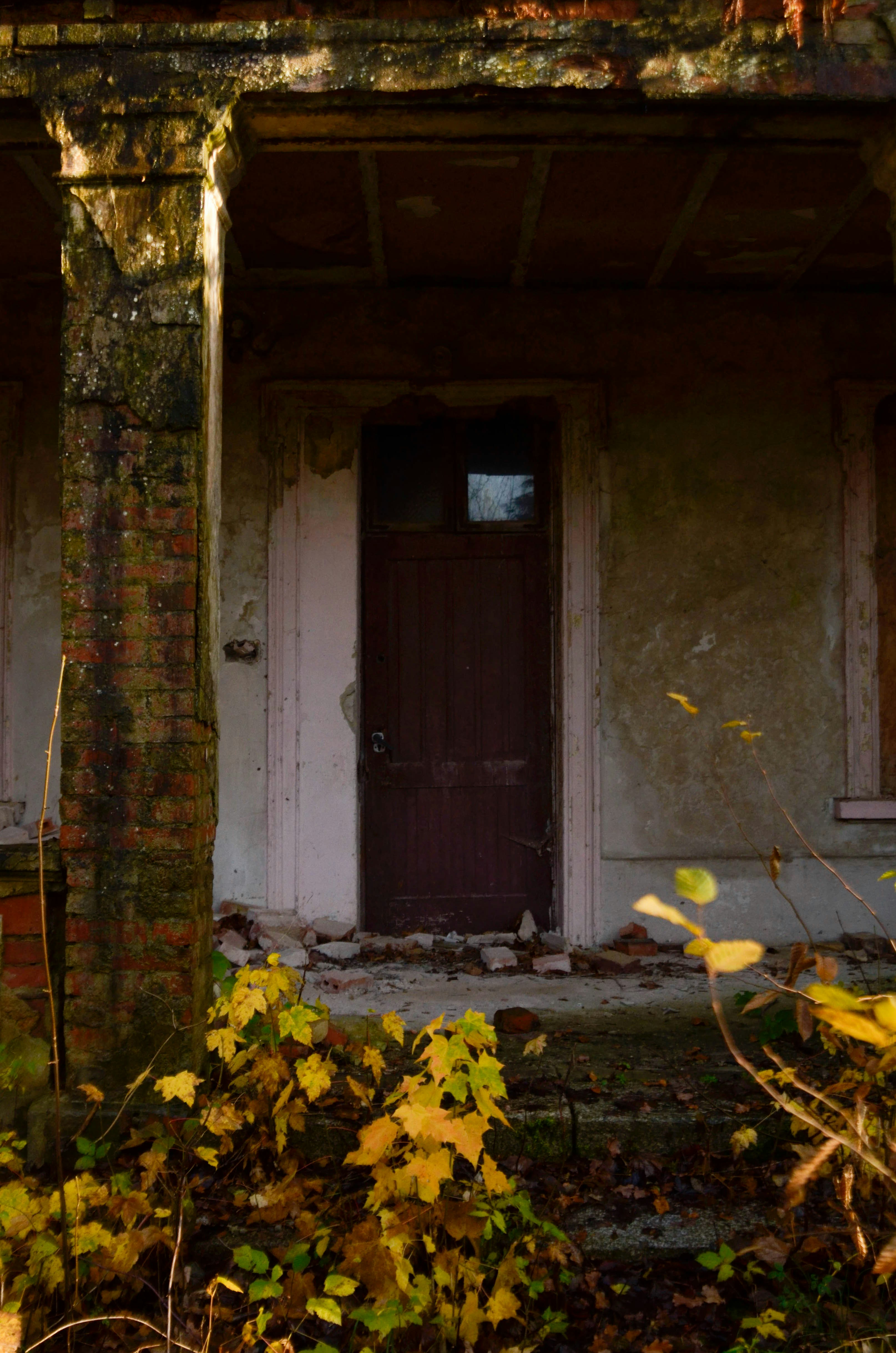 Doorway in Moss: An Autumn-Warmed Ruin