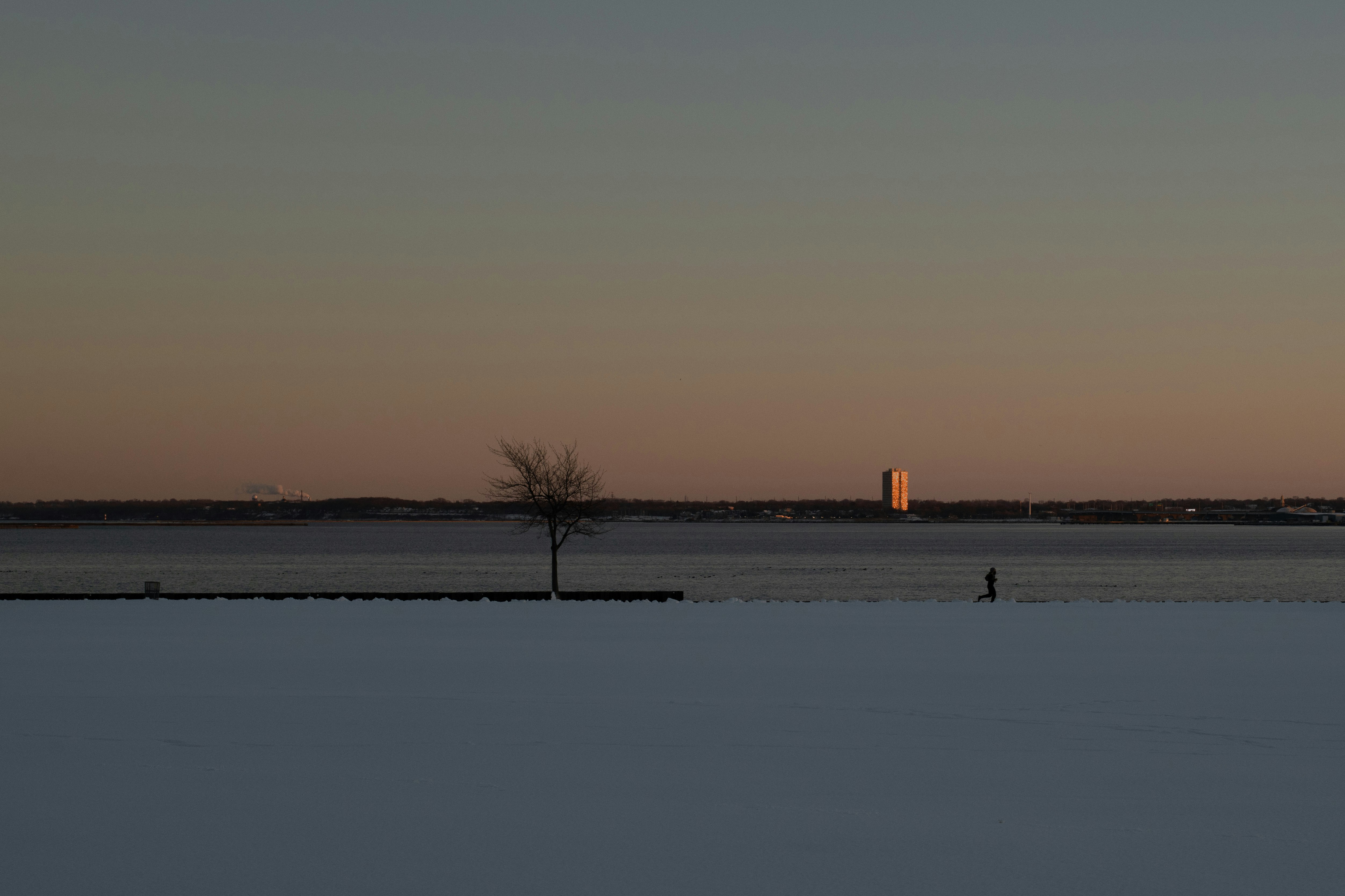 A runner alone on the trail