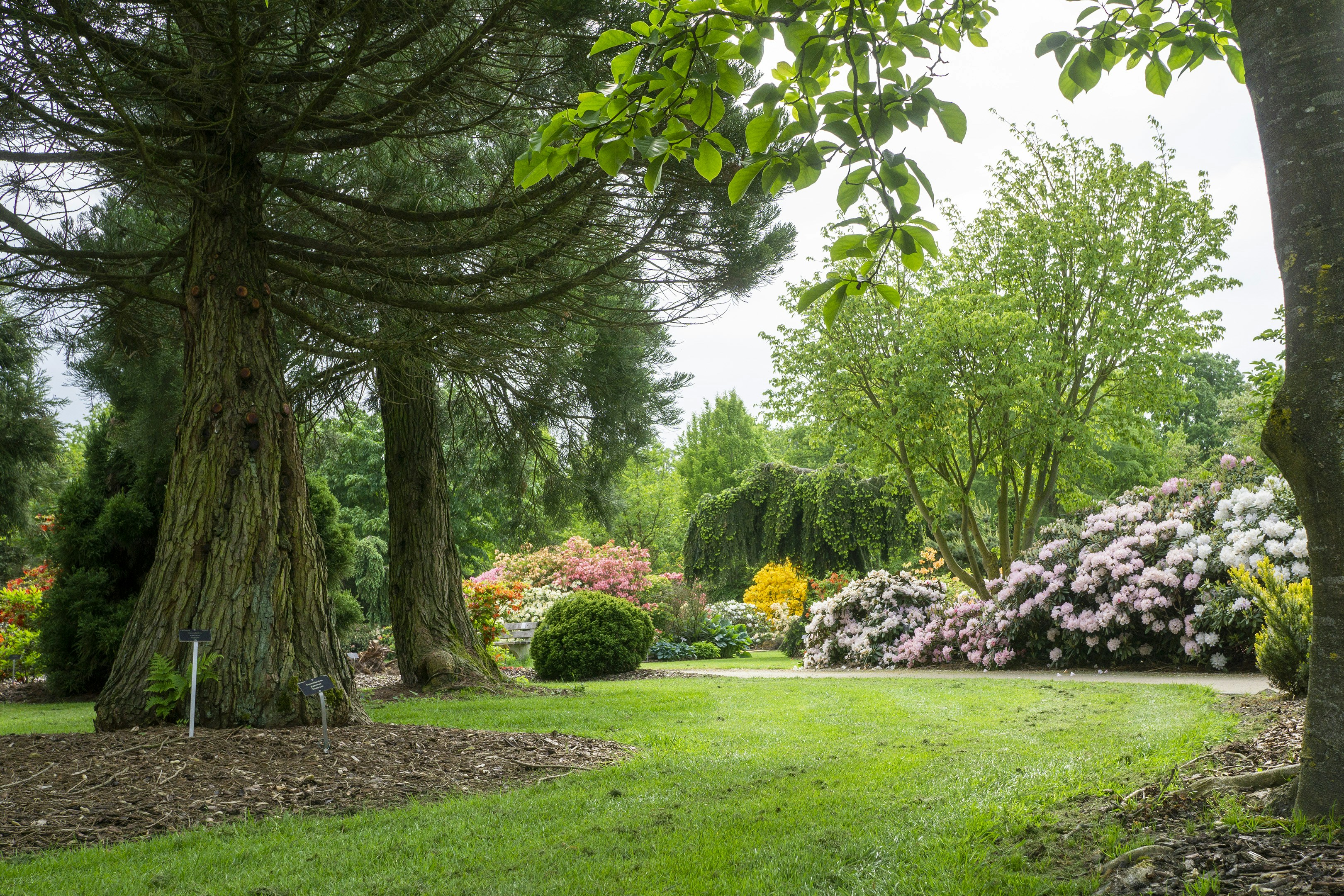 Photo by Wietse Jongsma with Sony Alpha 6000