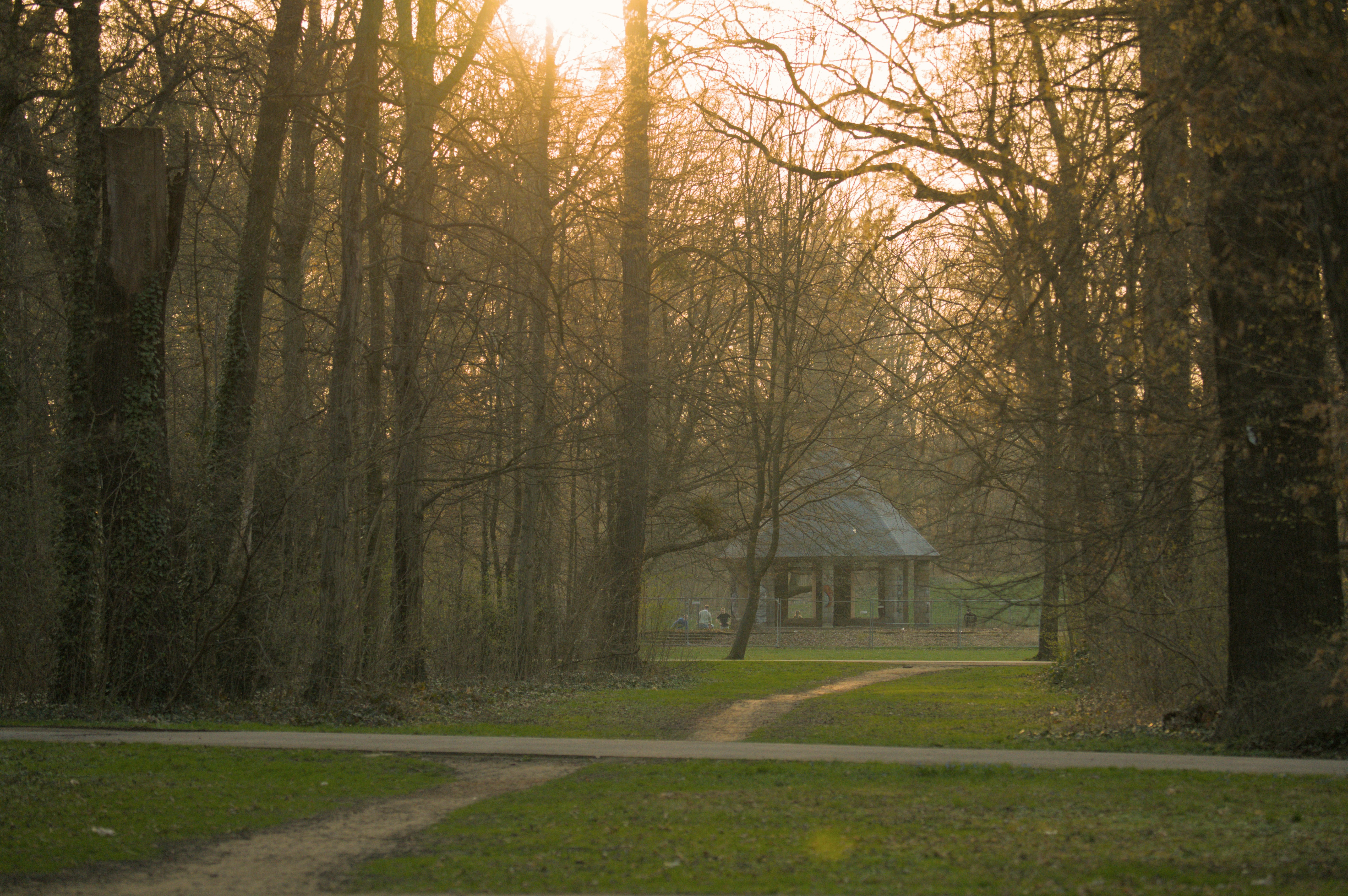 Dusk Path to a Quiet Pavilion