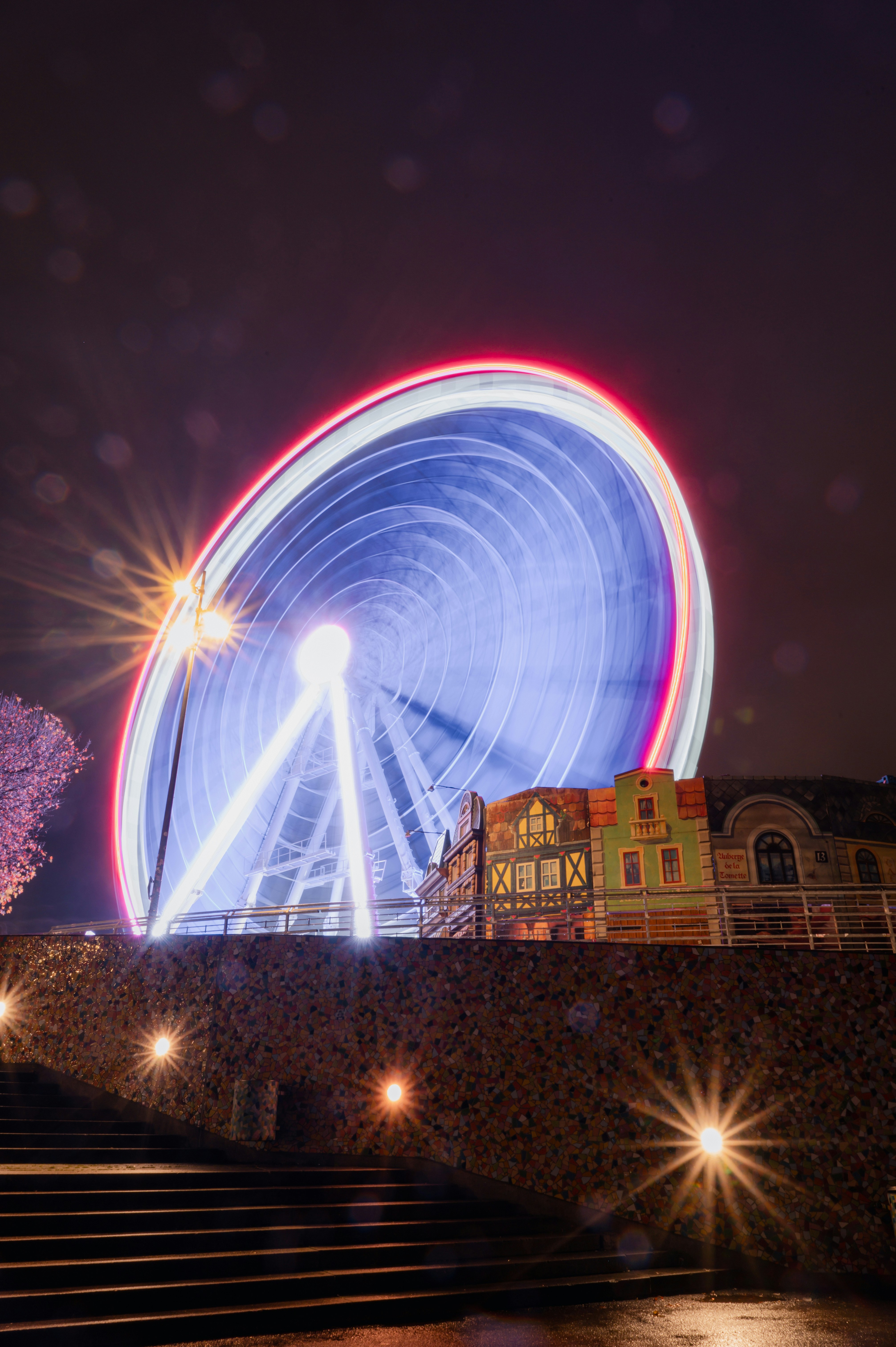 Photo by David Koloski with Nikon Z6 II