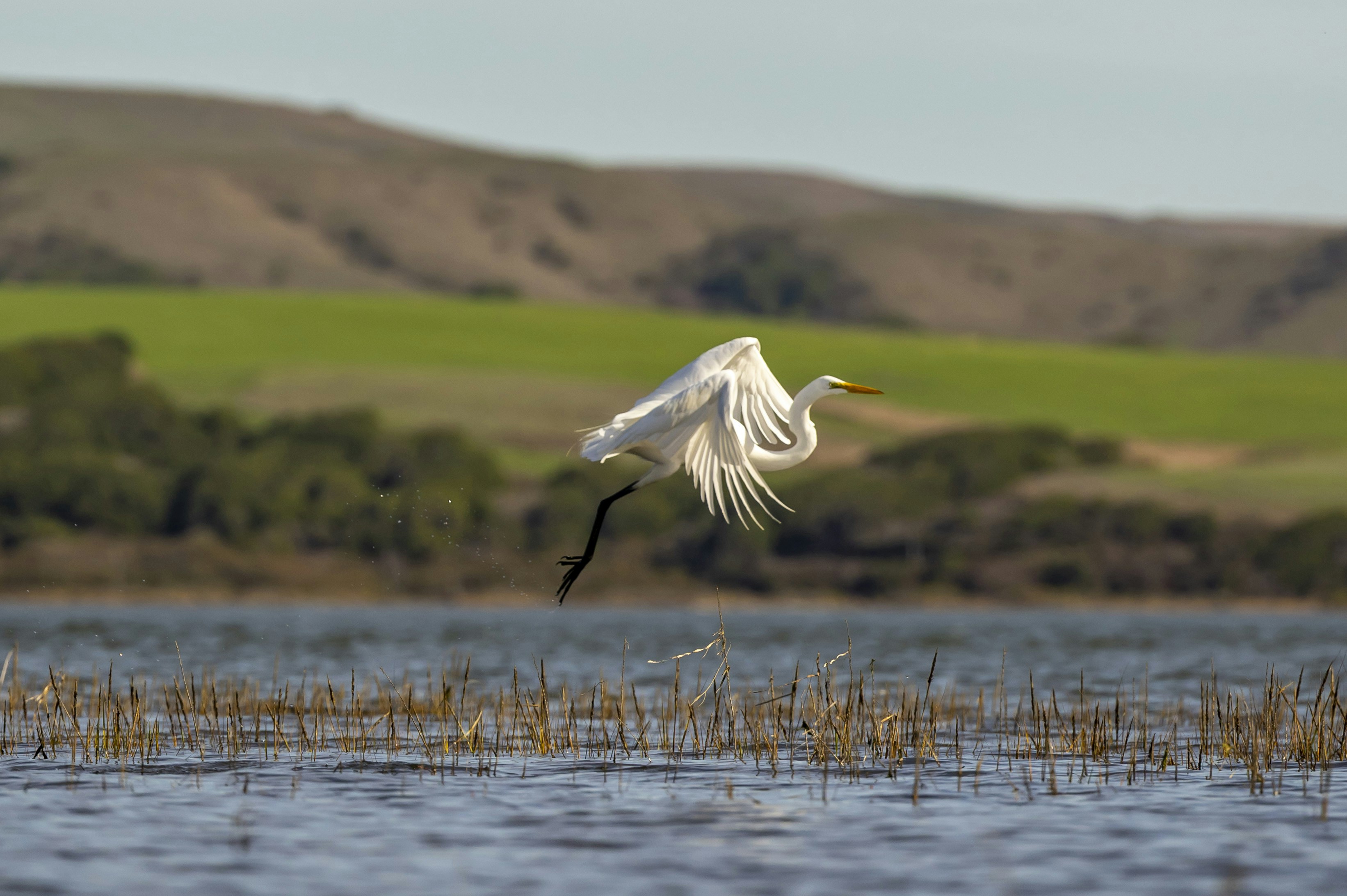 Photo by Leo_Visions with Canon EOS R3