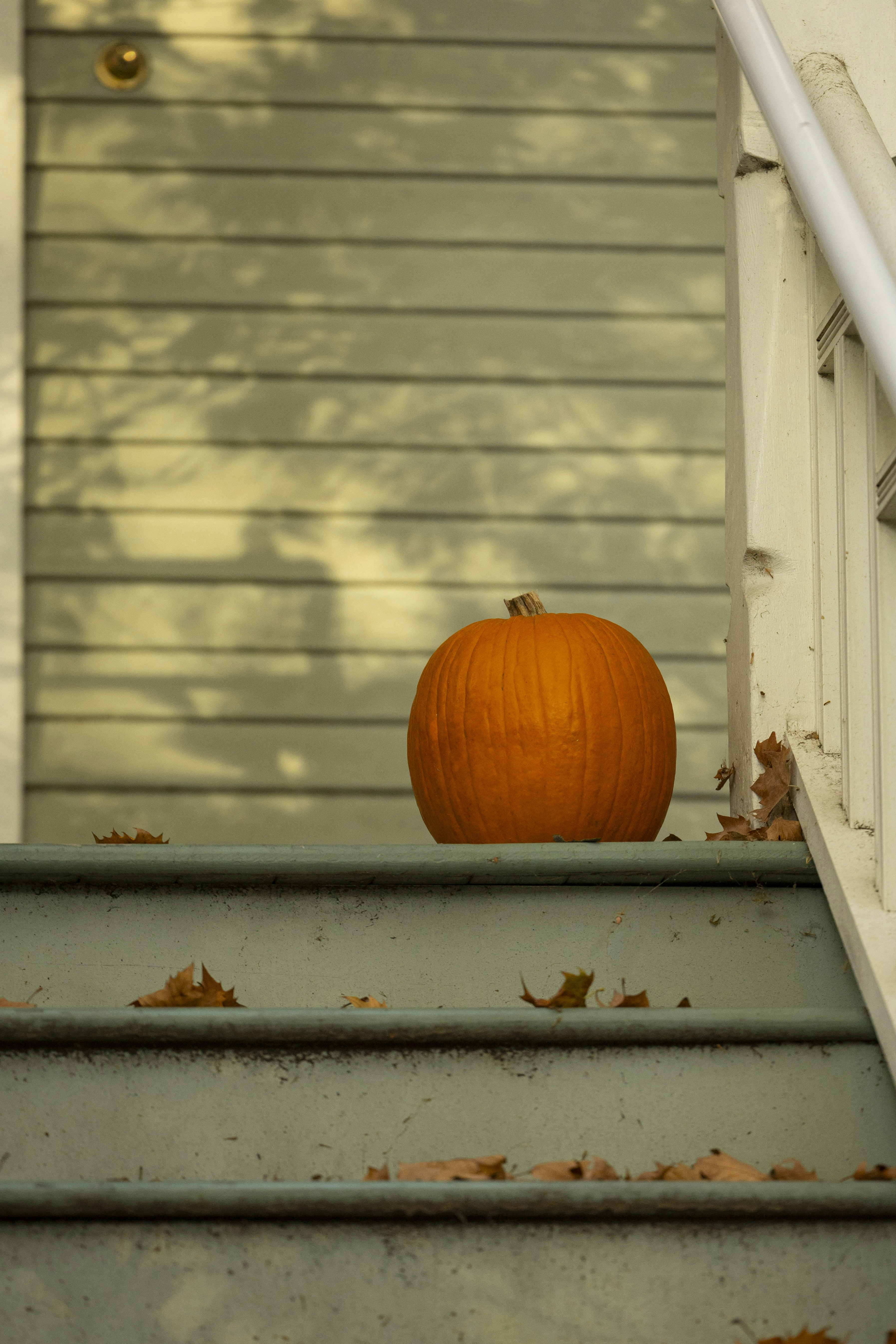 Photo by Leo_Visions with Canon EOS R3