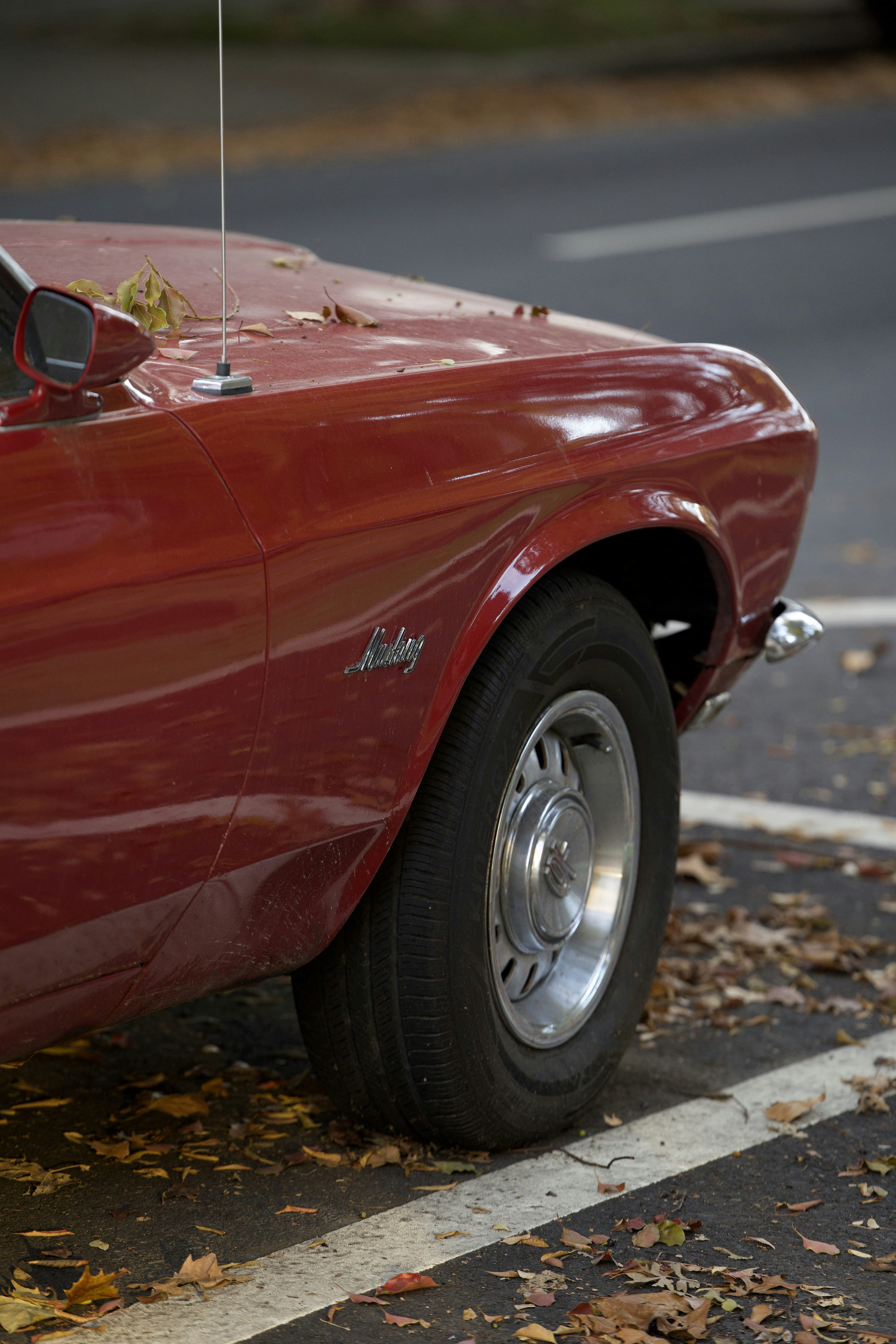 Crimson Classic Resting Amid Fall Leaves by the Road