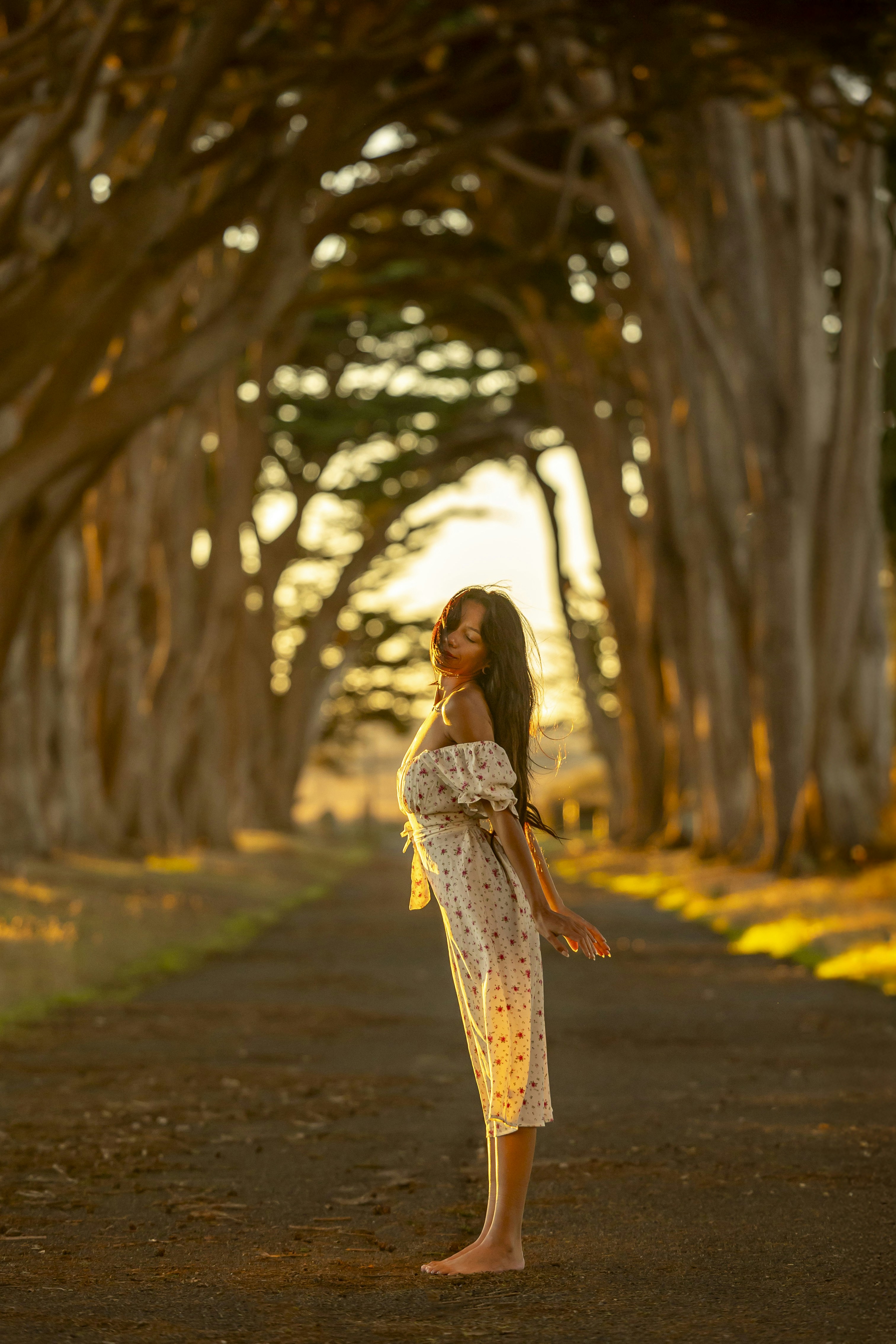 Golden Hour Reverie on a Tree-Arched Path