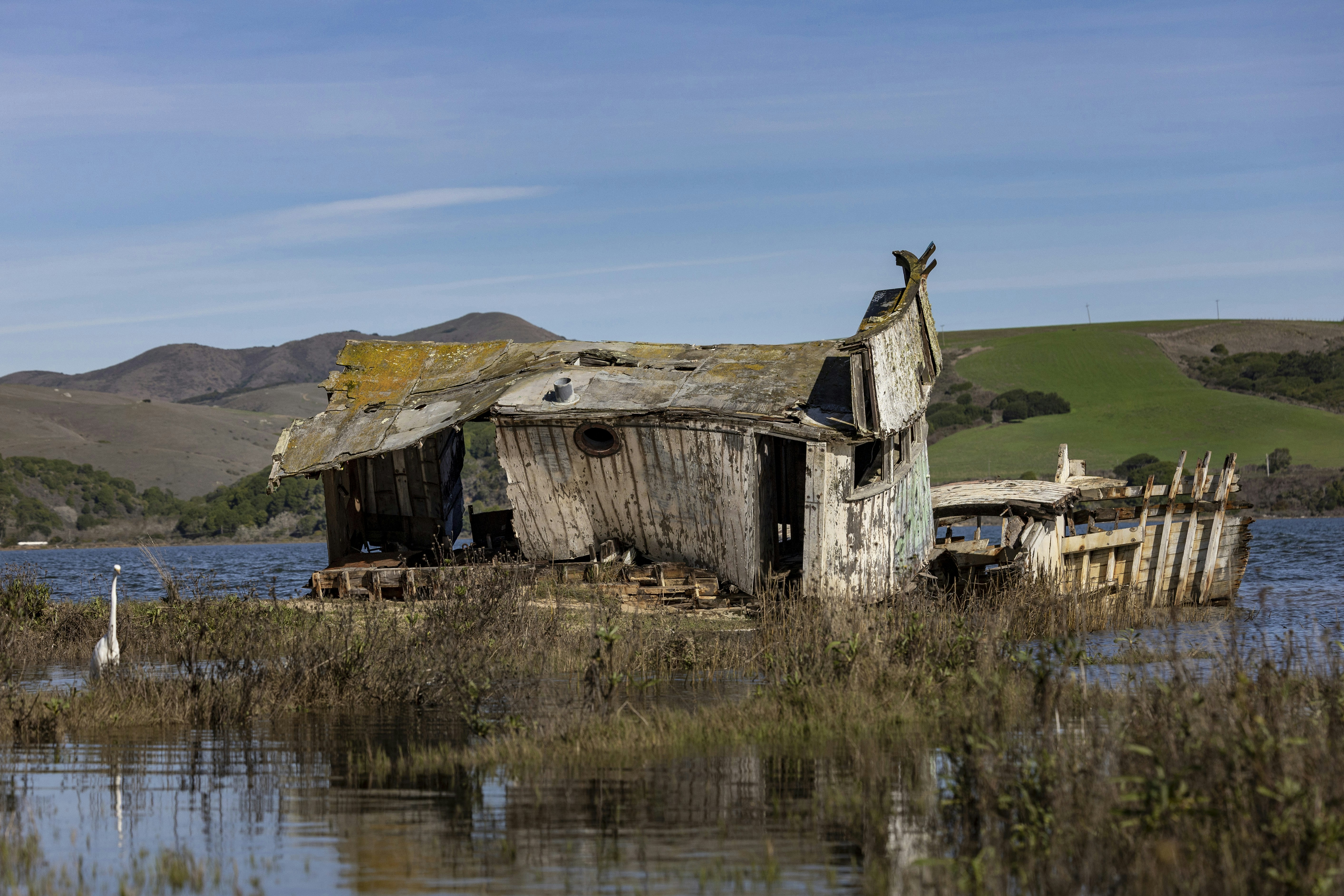 Weathered Shack at the Marsh: A Quiet Shoreline Sentinel