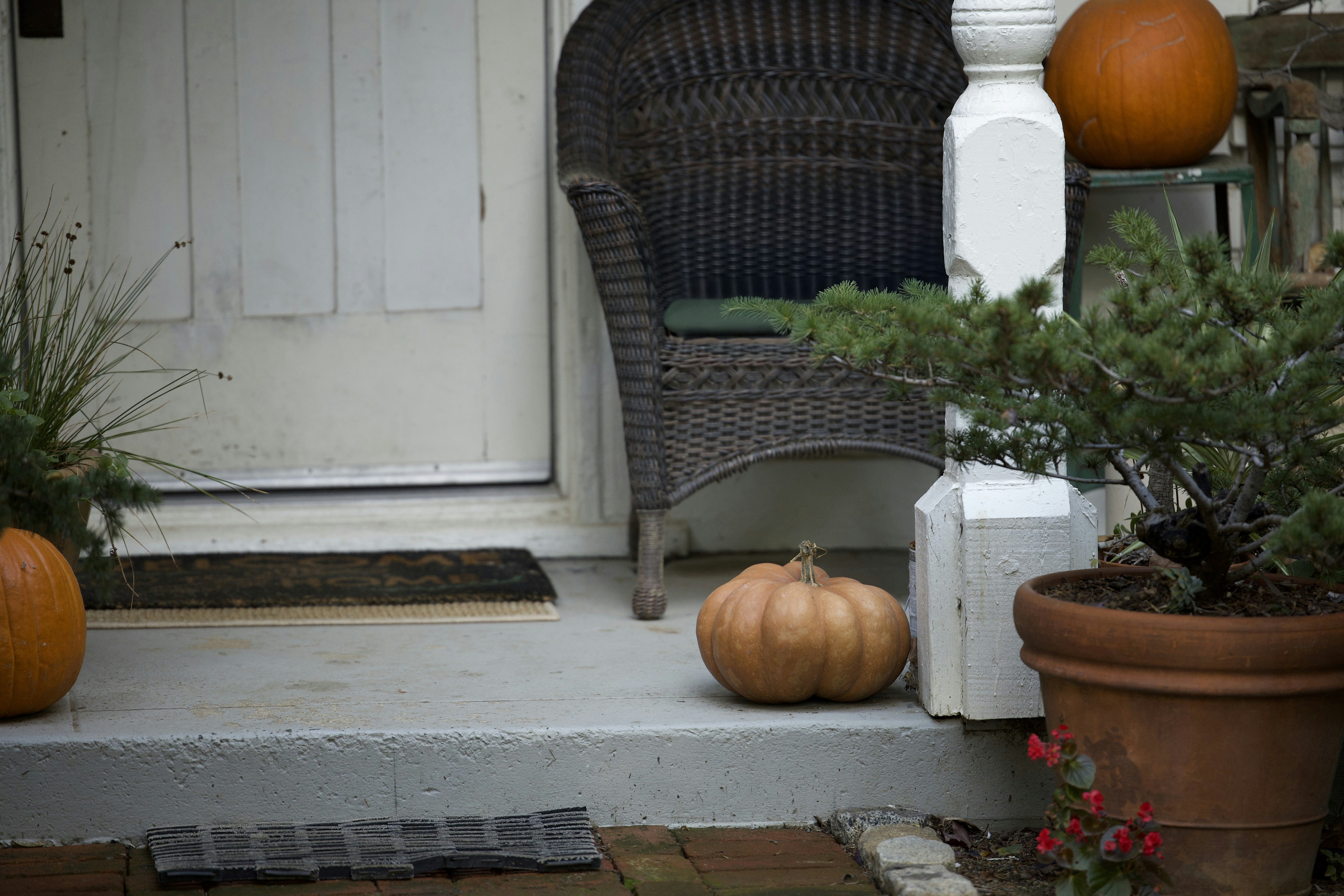 Photo by Leo_Visions with Canon EOS R3