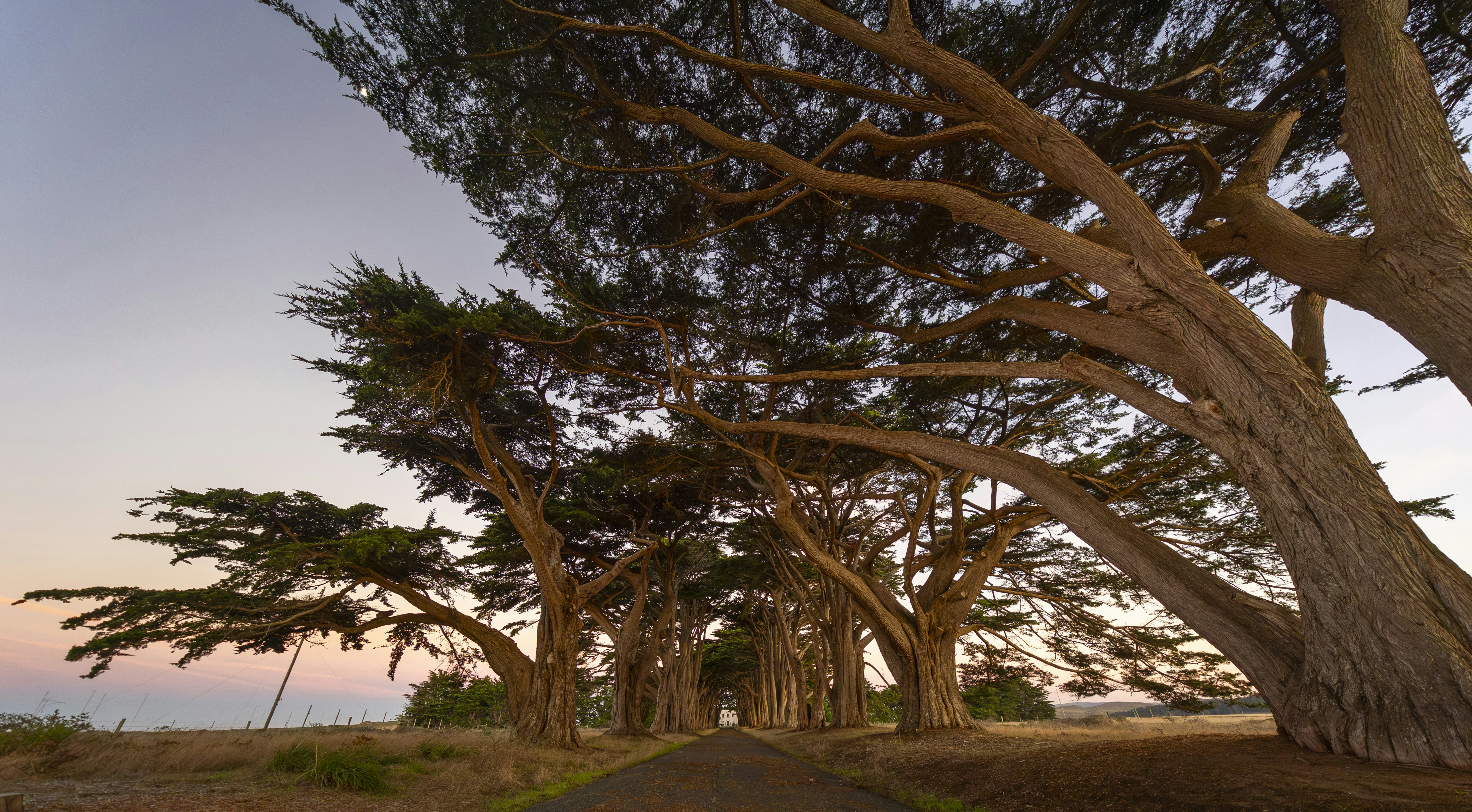 Sample photo from Canon EOS R1