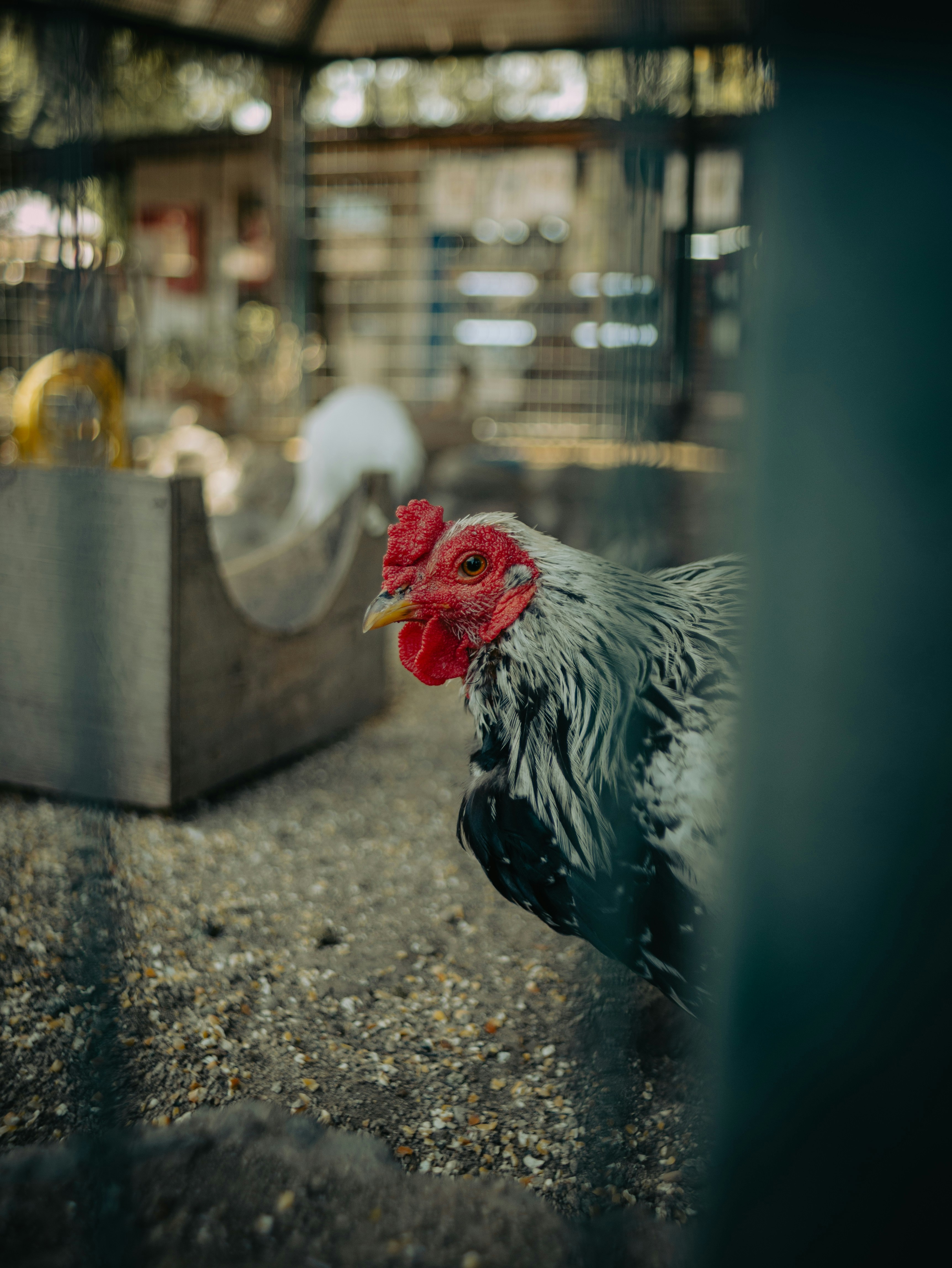 Photo by Gustavo Alejandro Espinosa Reyes with Panasonic Lumix G7