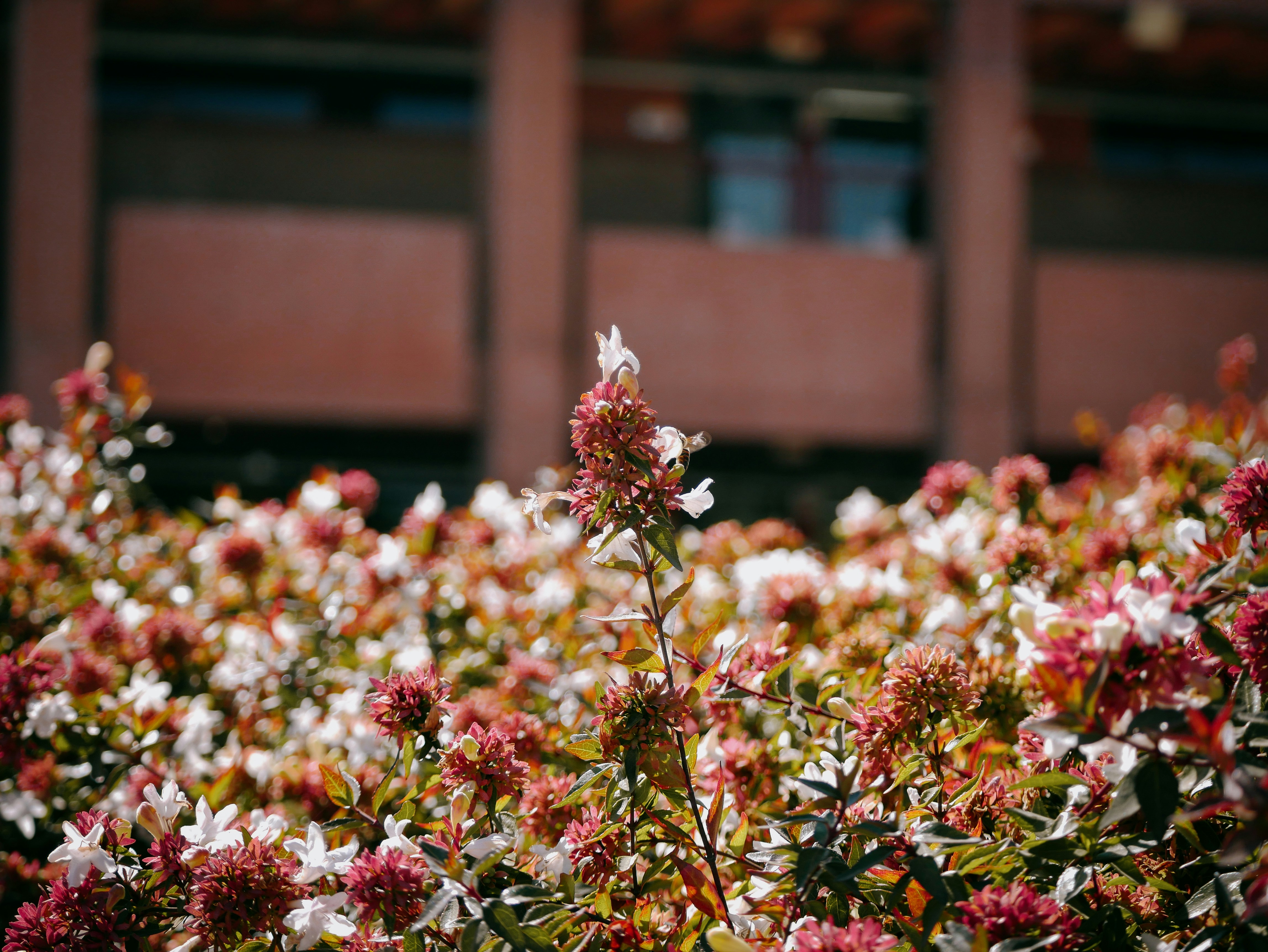 Photo by Gustavo Alejandro Espinosa Reyes with Panasonic Lumix G7