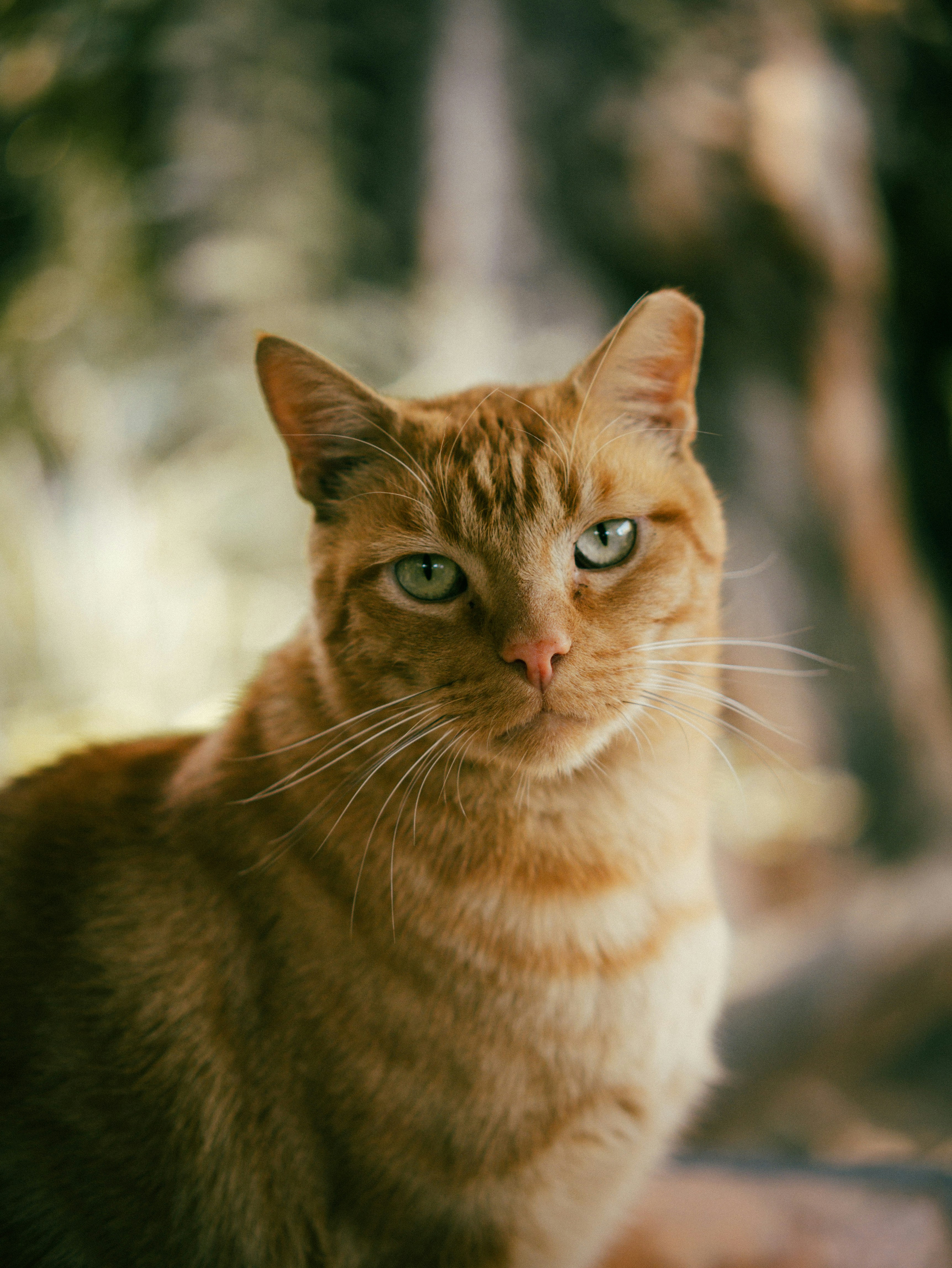 Photo by Gustavo Alejandro Espinosa Reyes with Panasonic Lumix G7