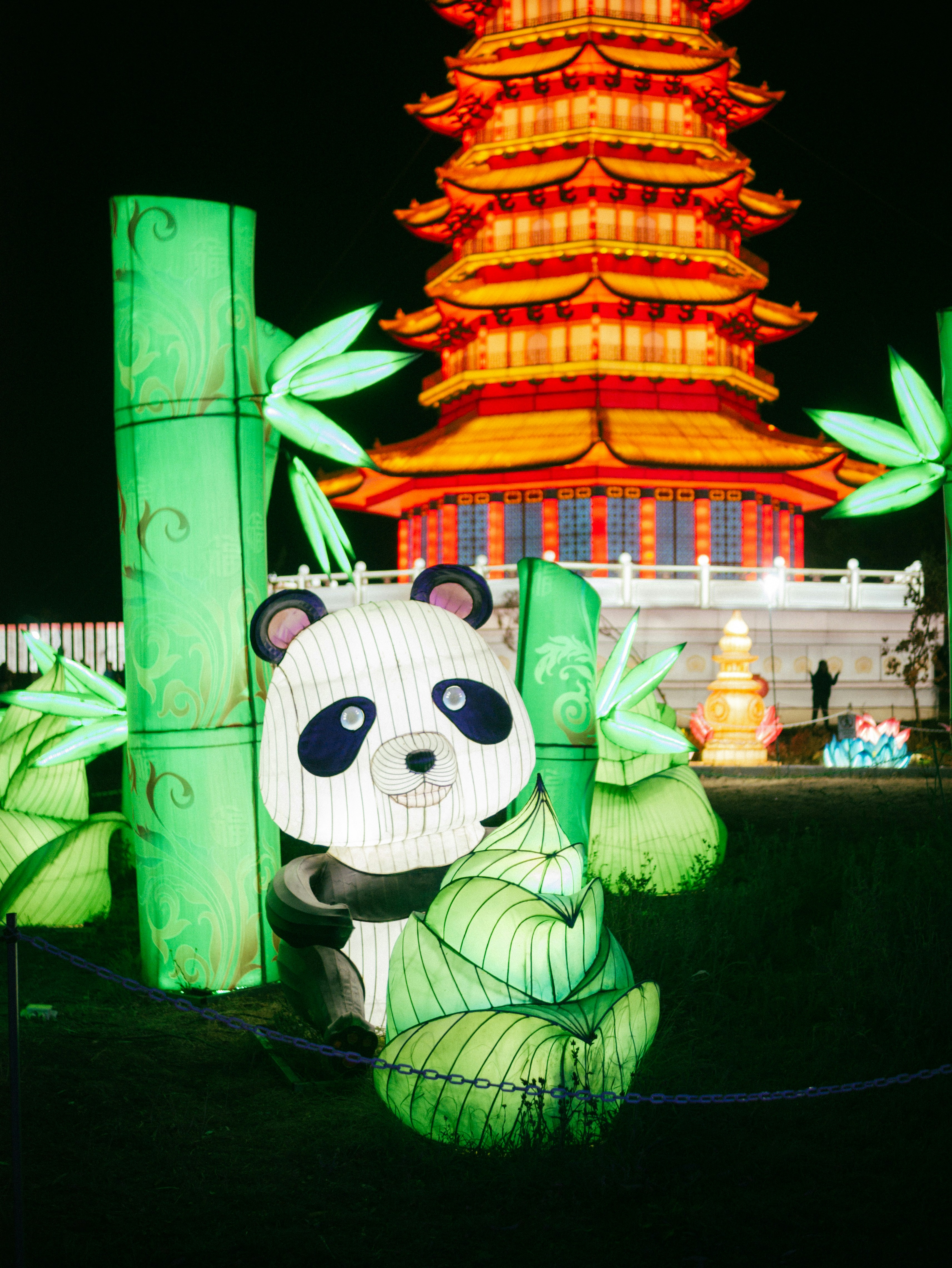 Photo by Gustavo Alejandro Espinosa Reyes with Panasonic Lumix G7