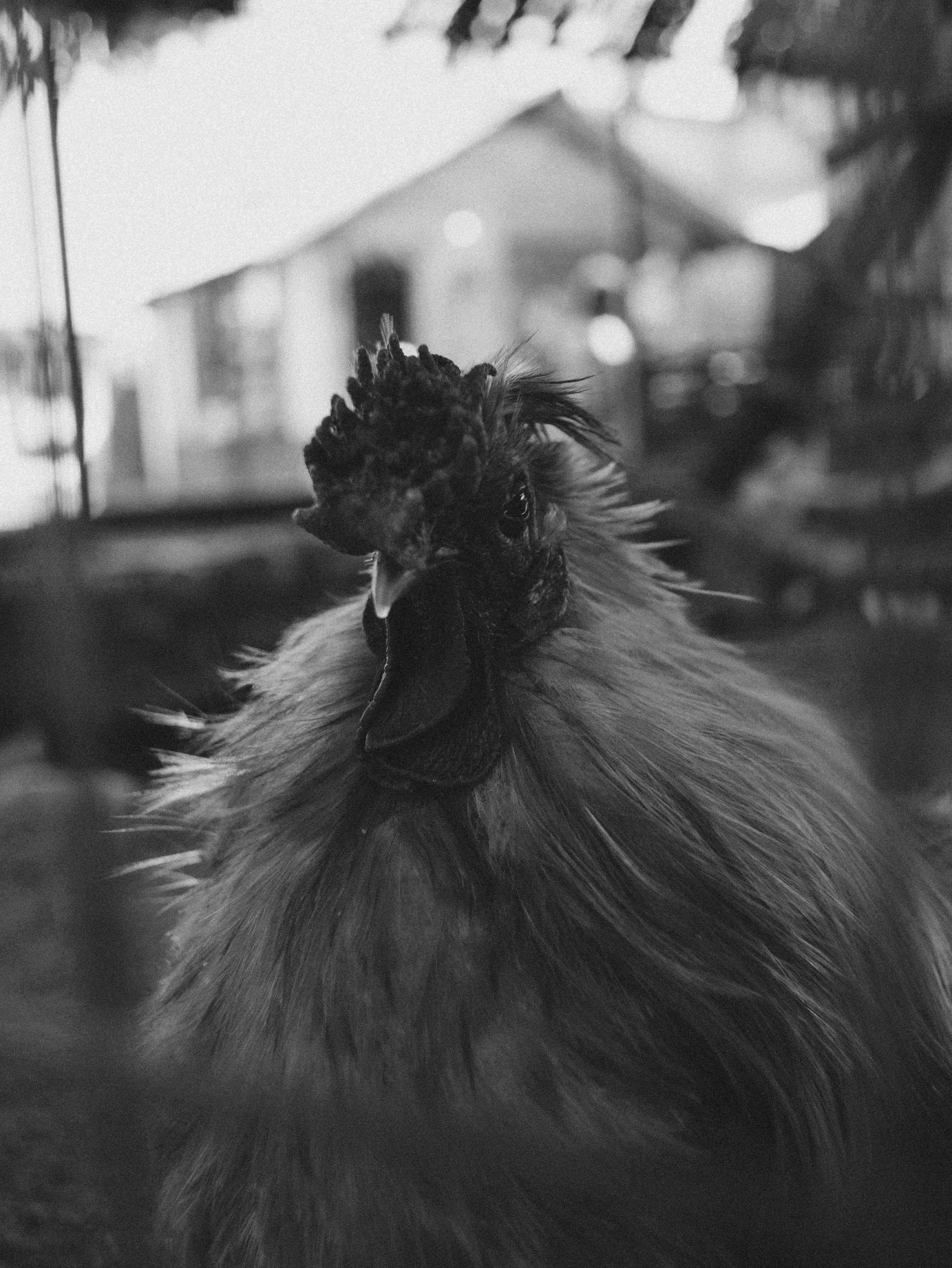 Photo by Gustavo Alejandro Espinosa Reyes with Panasonic Lumix G7