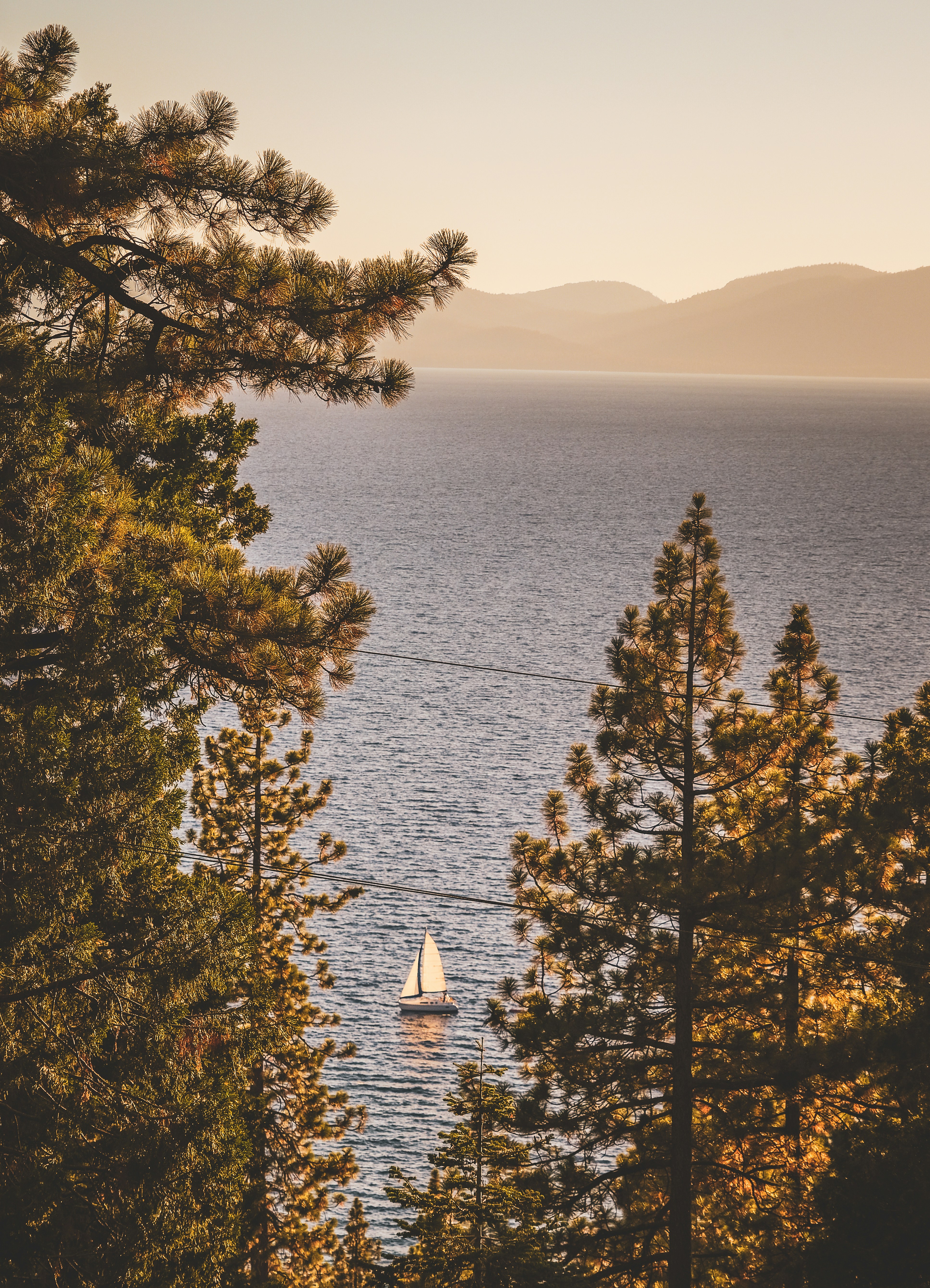 Golden Hour Sail Quietly Traverses a Pine-Framed Lake