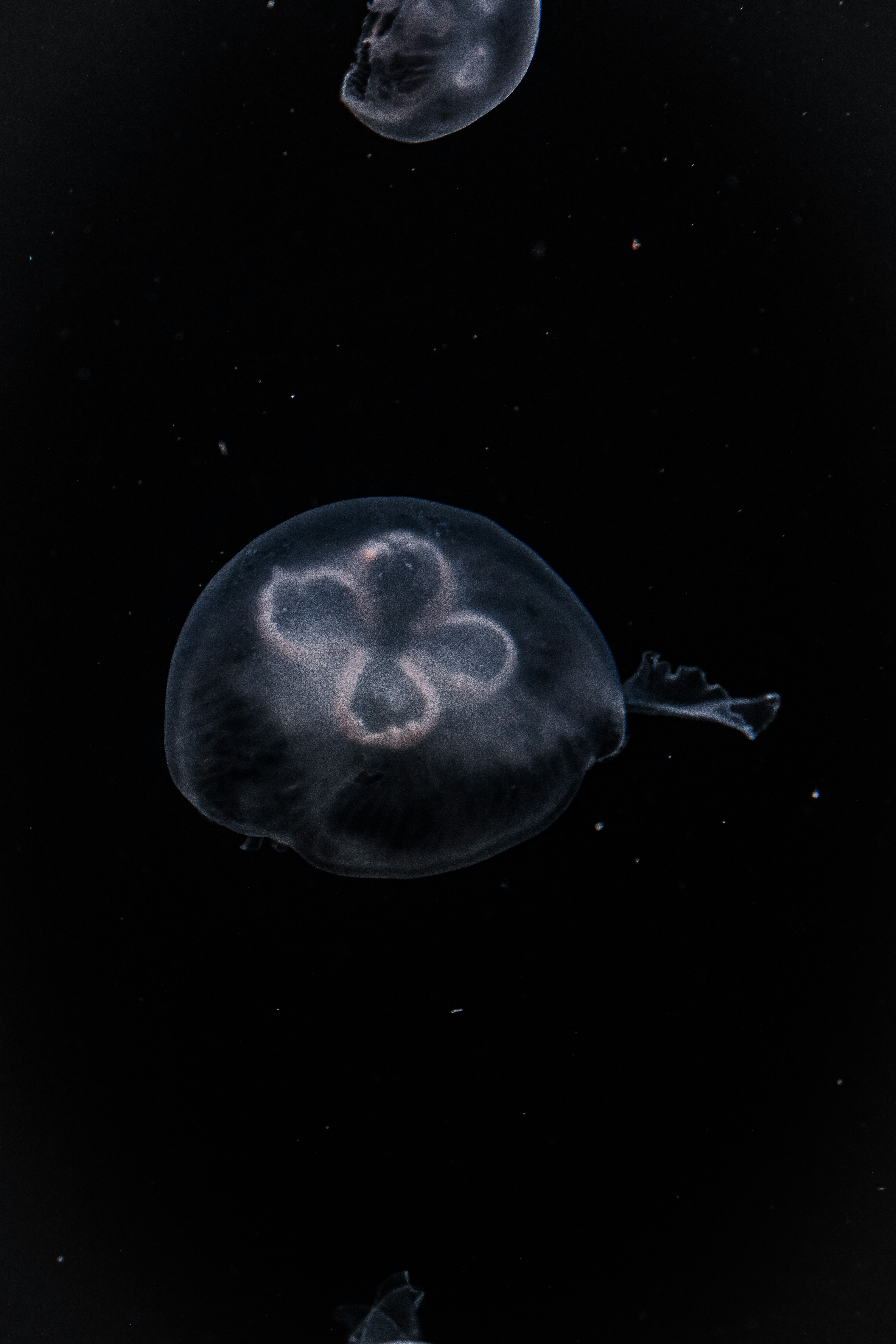 Photo by Quinn Simonson with Fujifilm X-S10