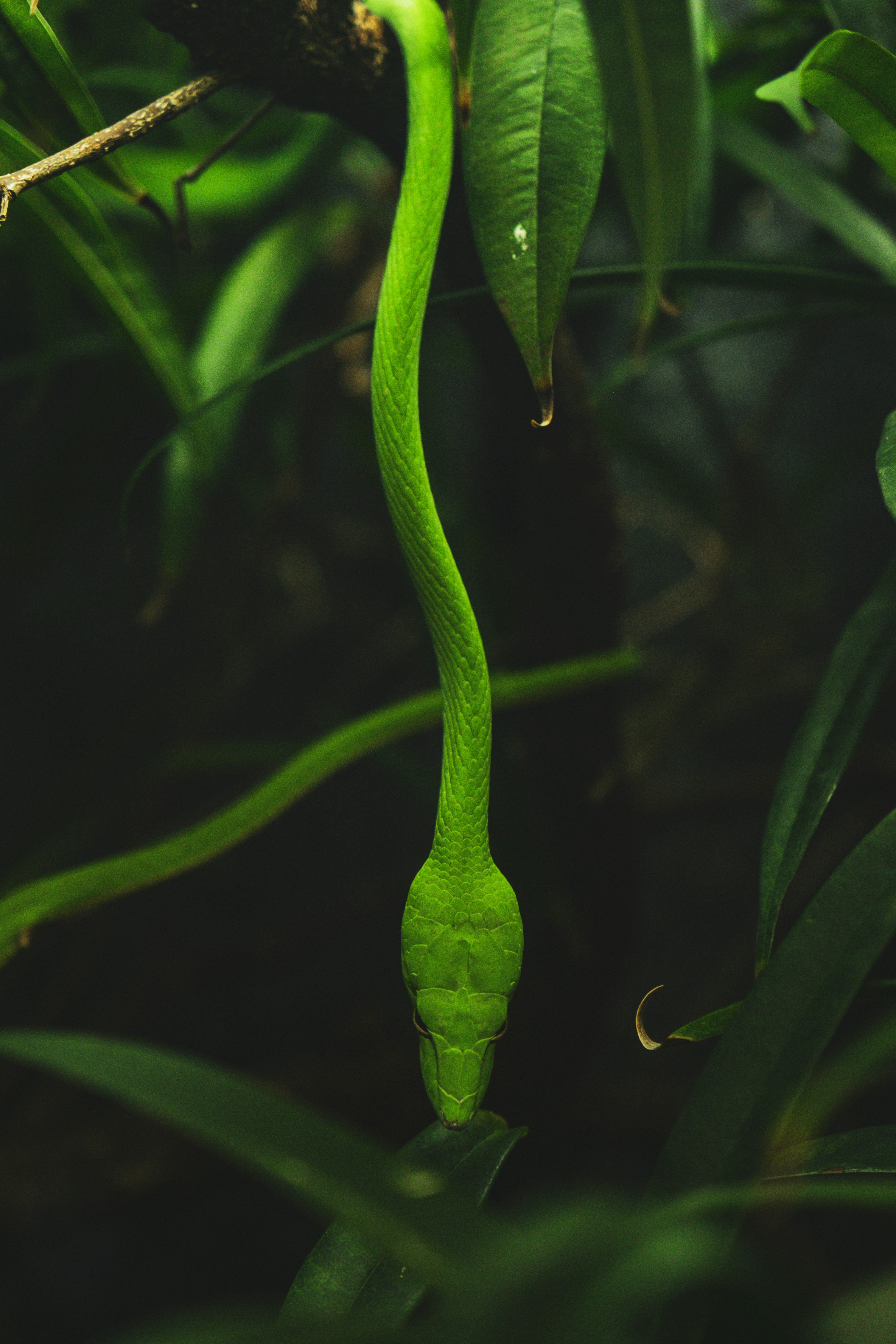 Photo by Quinn Simonson with Fujifilm X-S10