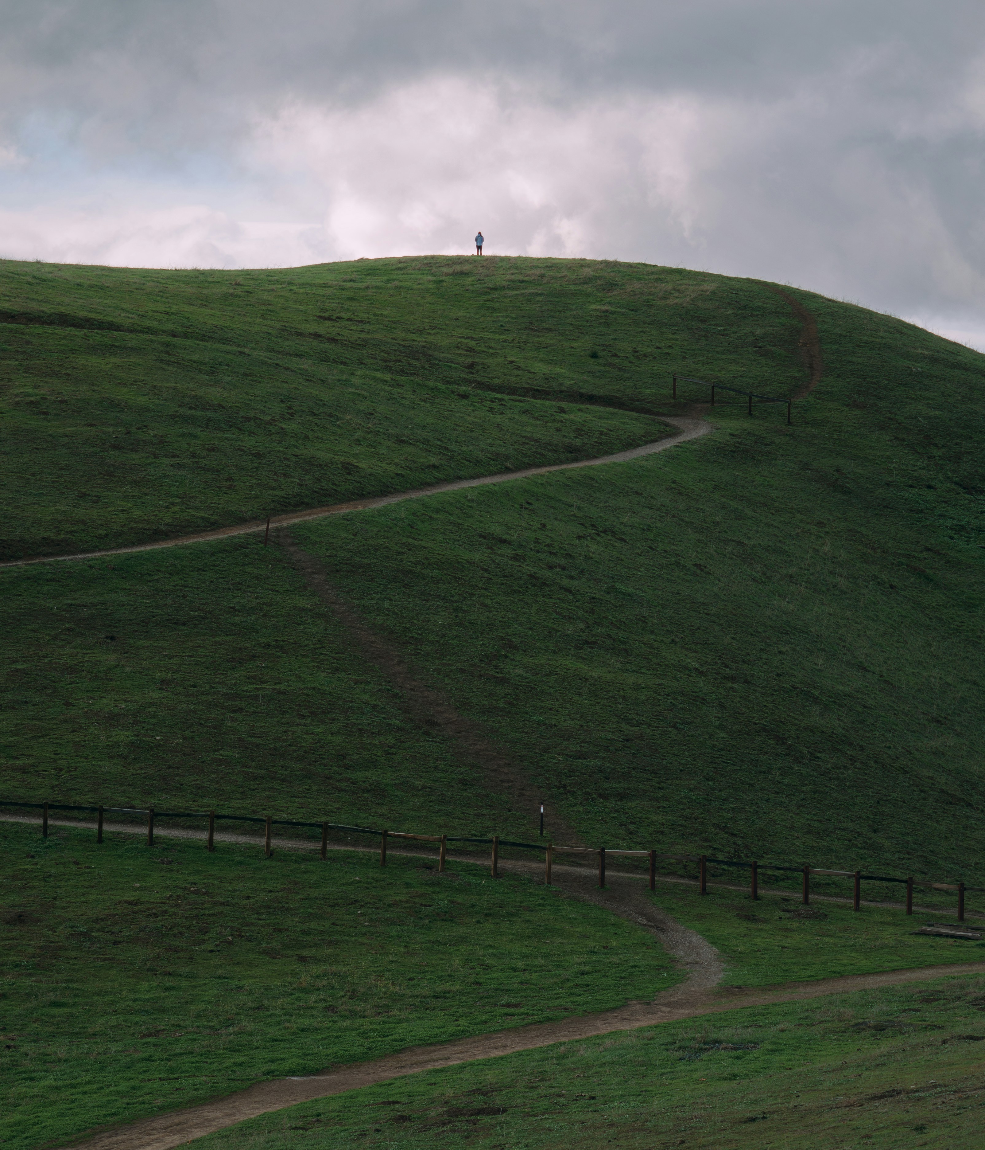 On the Crest: A Lone Figure Amid Rolling Green Ridges