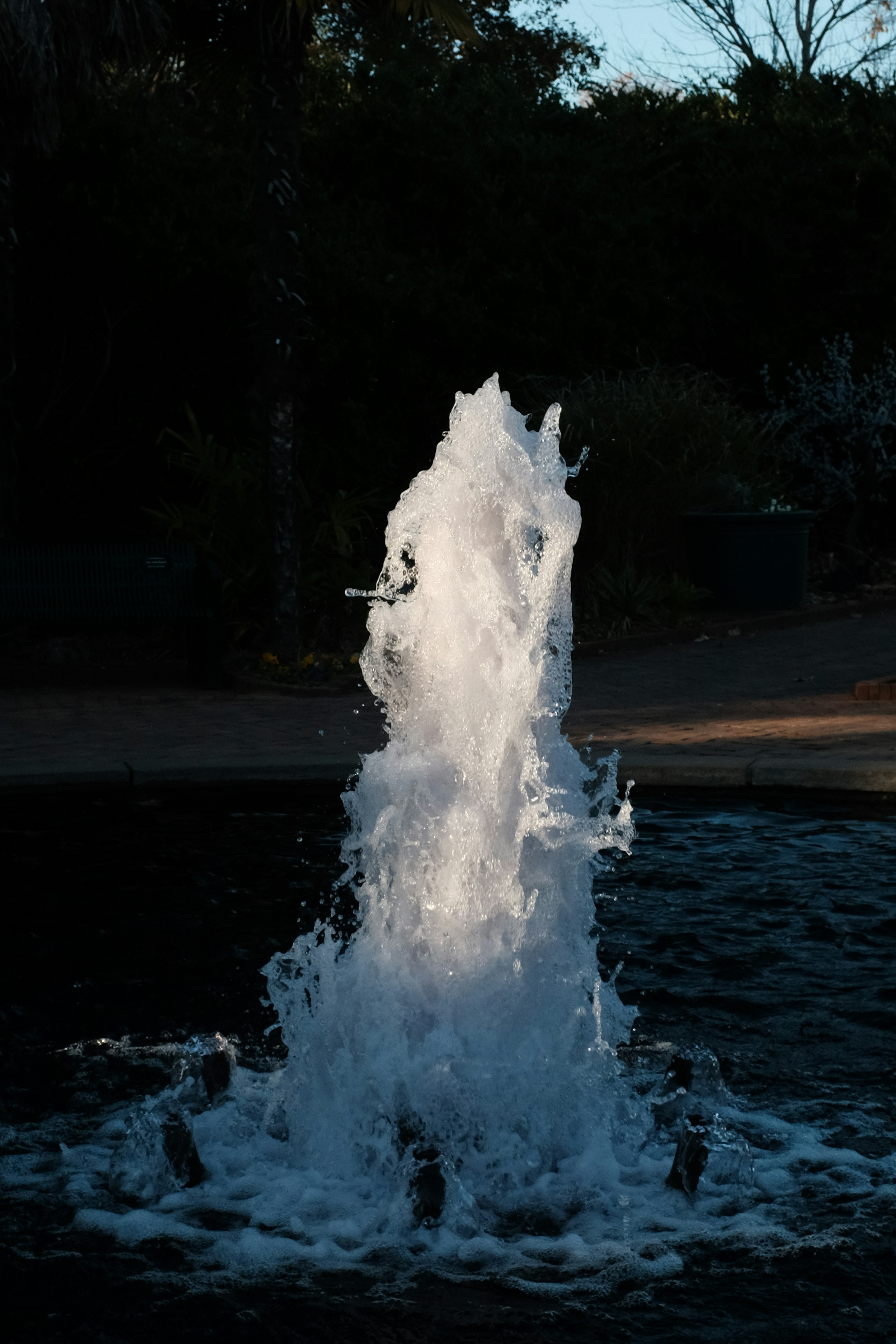 Photo by Brooke Balentine with Fujifilm X100F