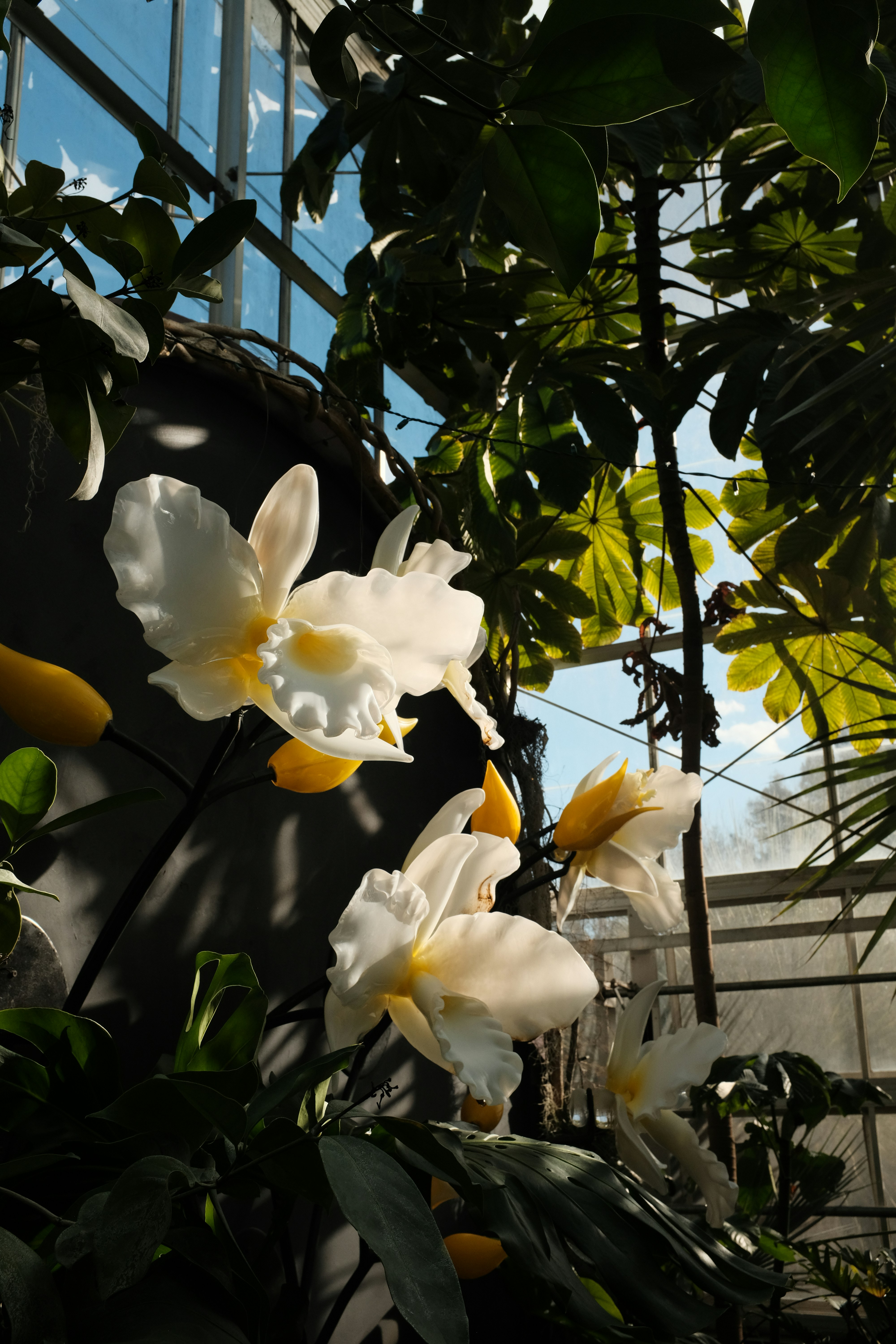 Photo by Brooke Balentine with Fujifilm X100F